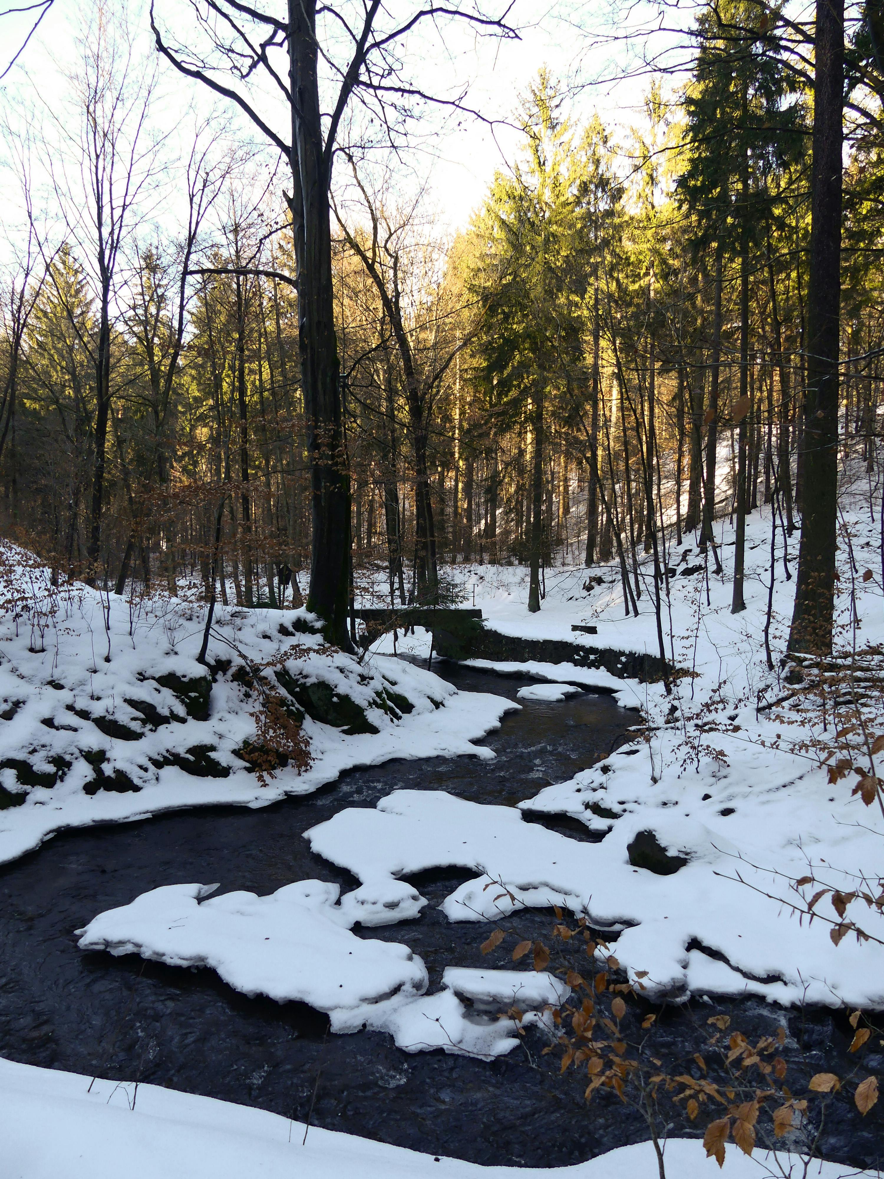 Sarah Richter - Photography