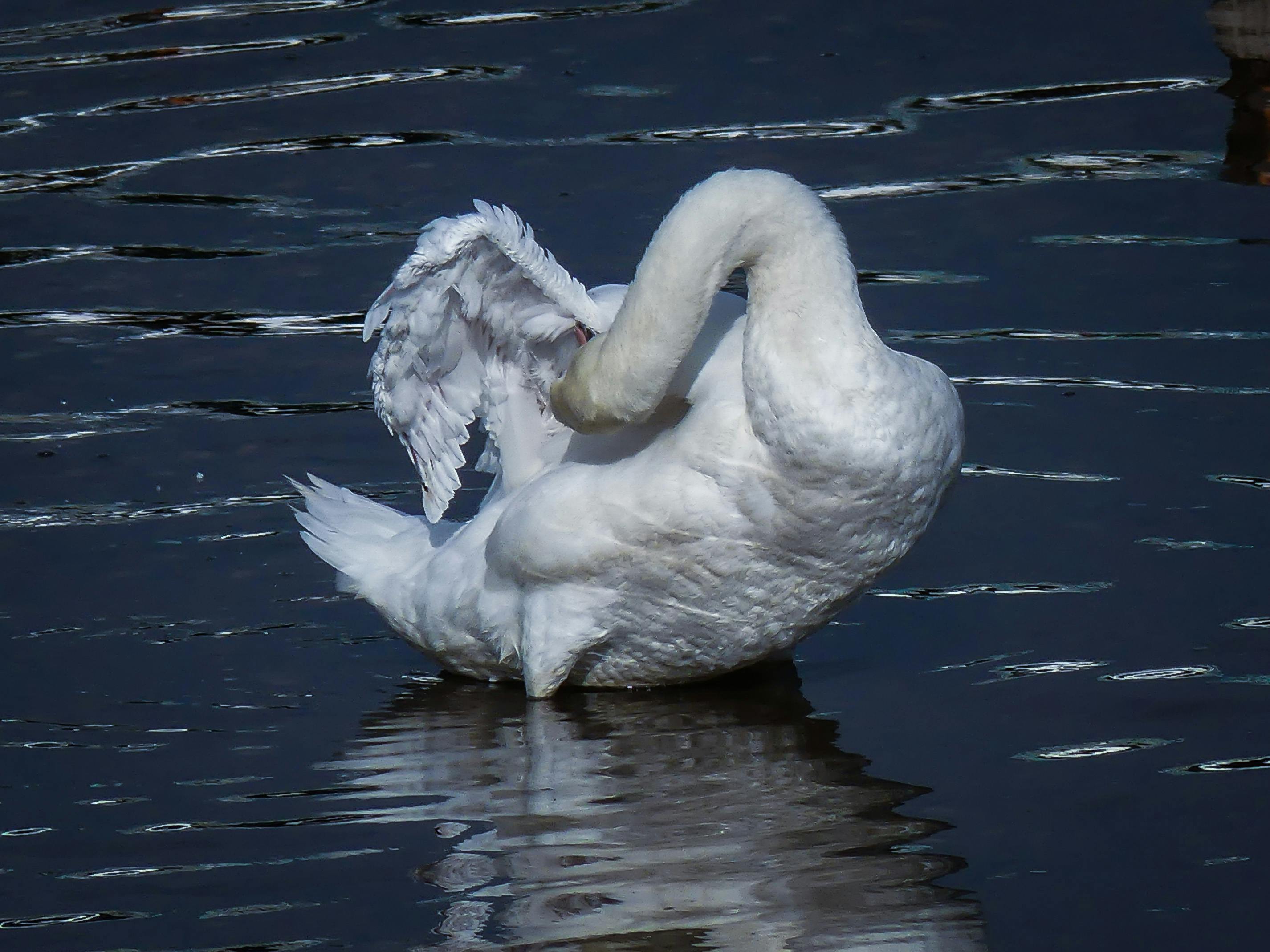 Sarah Richter - Photography