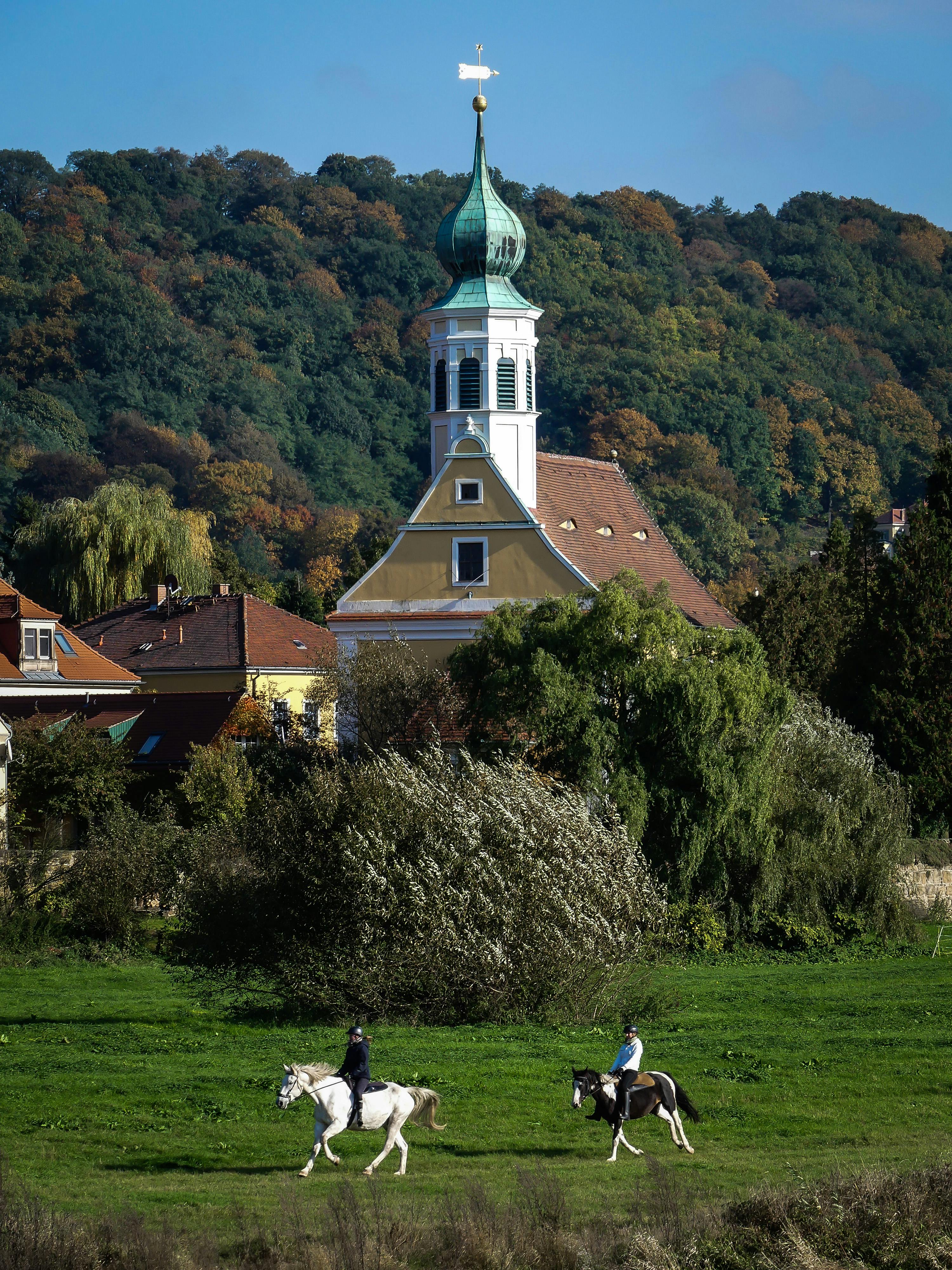 Sarah Richter - 摄影