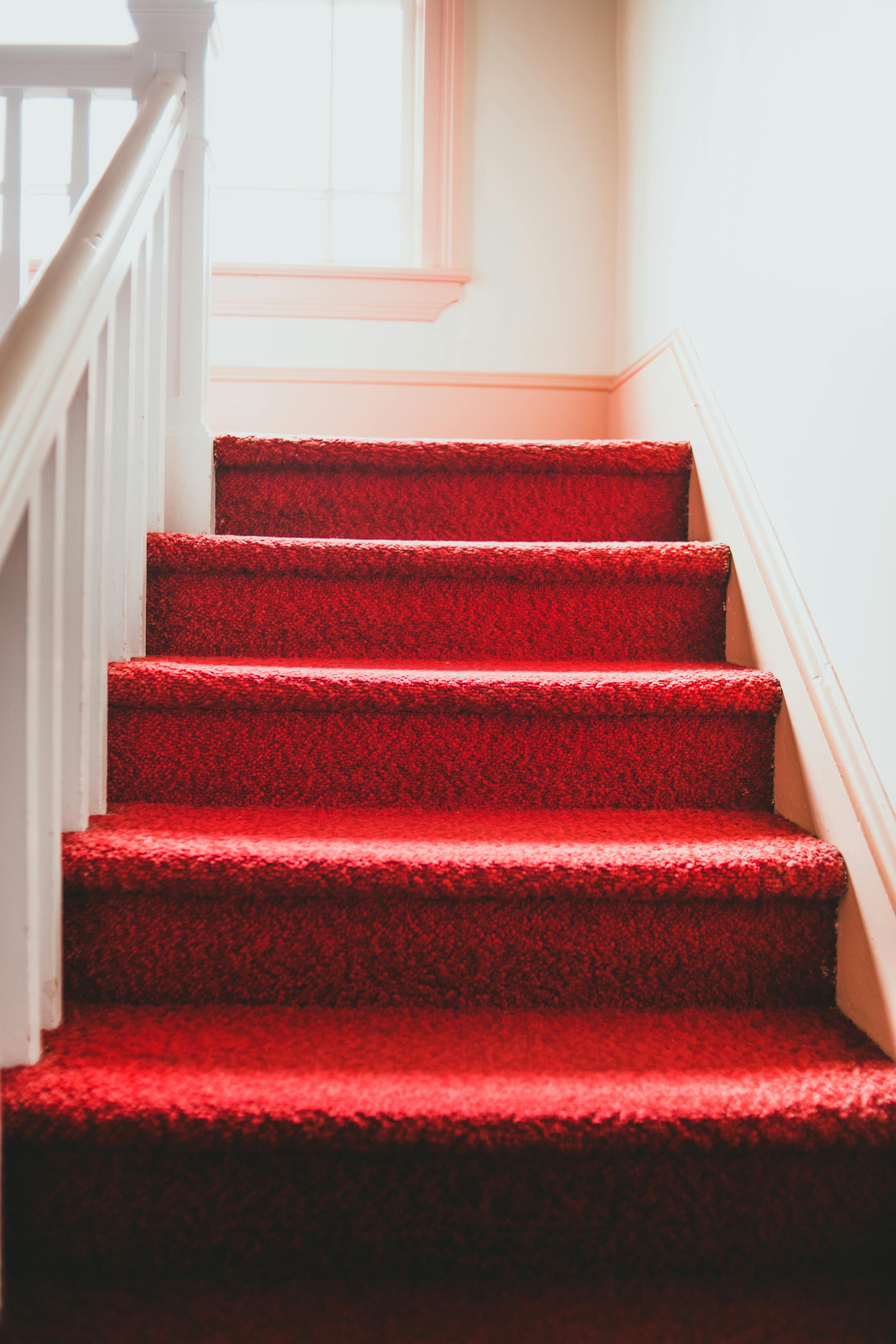 Red Floor Covering Photos, Download The BEST Free Red Floor Covering ...