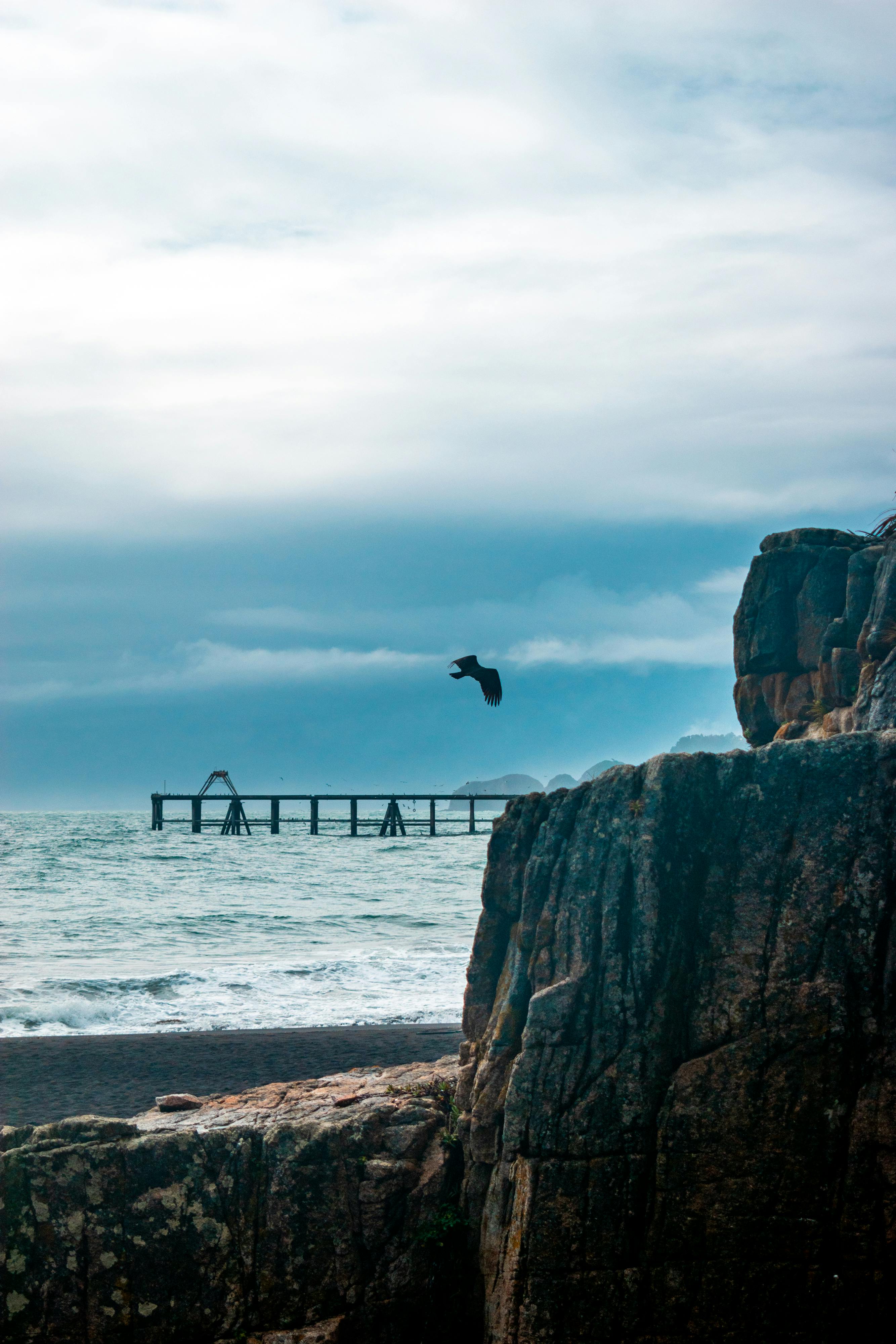 Constitución Corporal Photos, Download The BEST Free Constitución ...