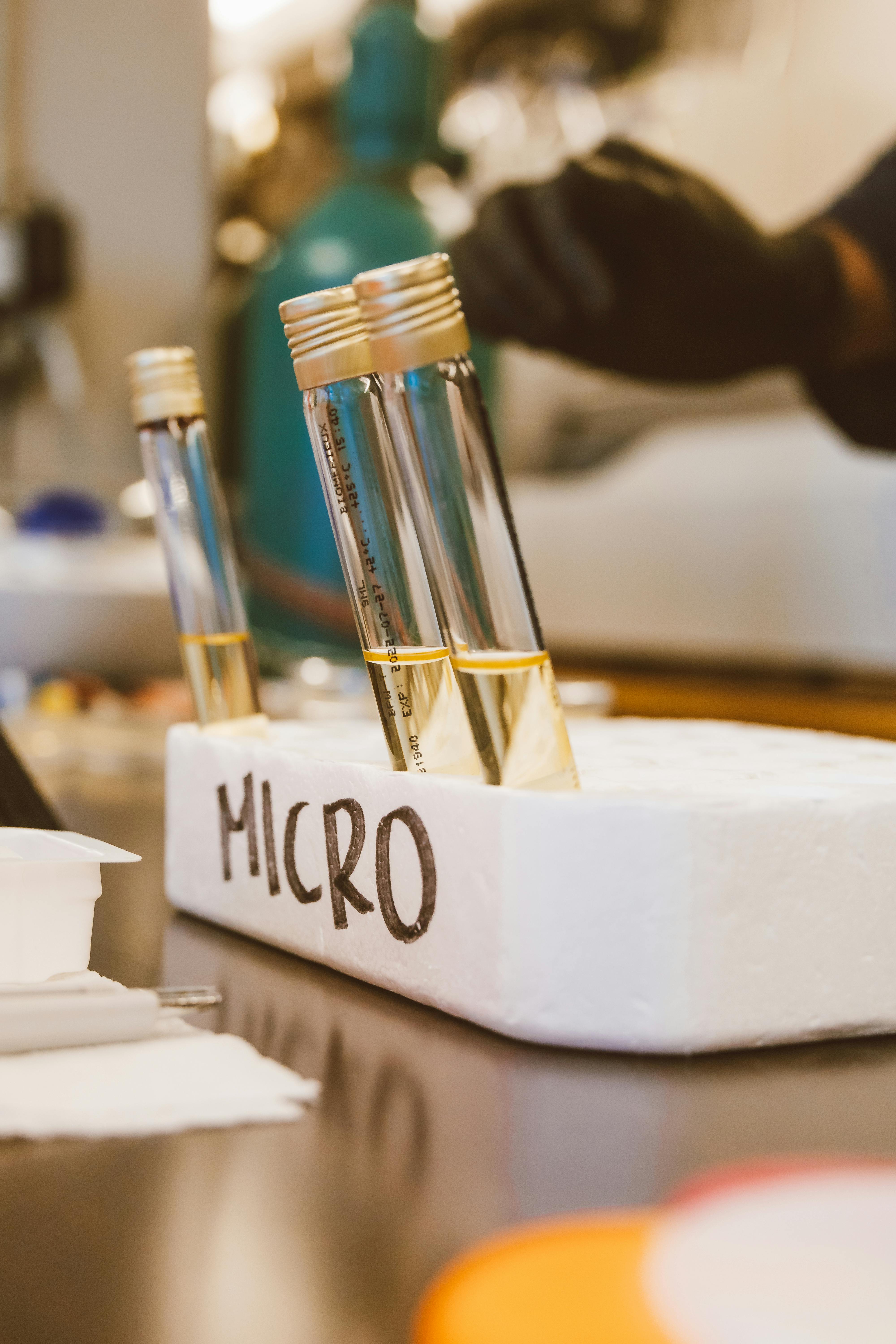 Styrofoam Photos, Download The BEST Free Styrofoam Stock Photos & HD Images