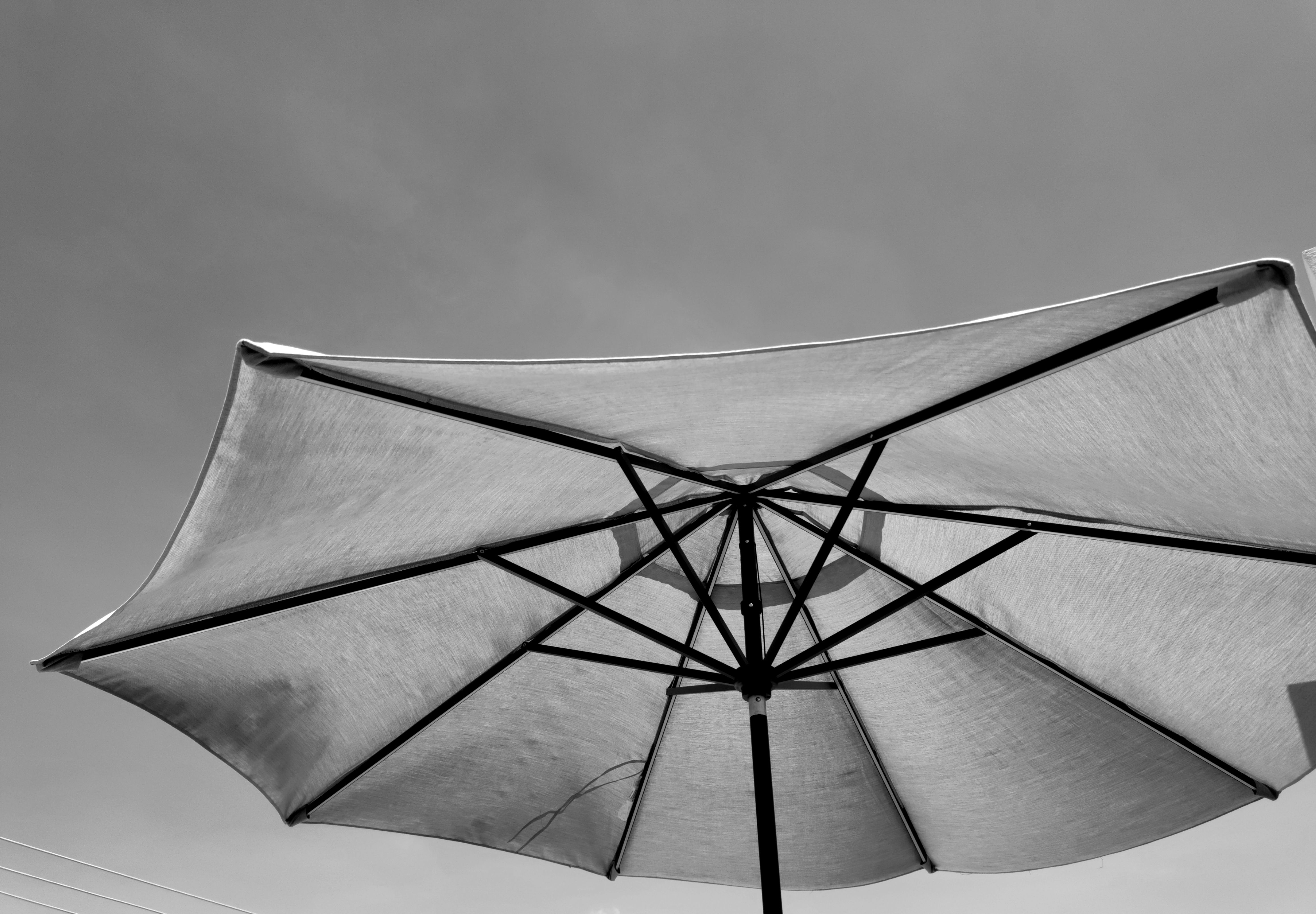 Photograph of an Umbrella · Free Stock Photo