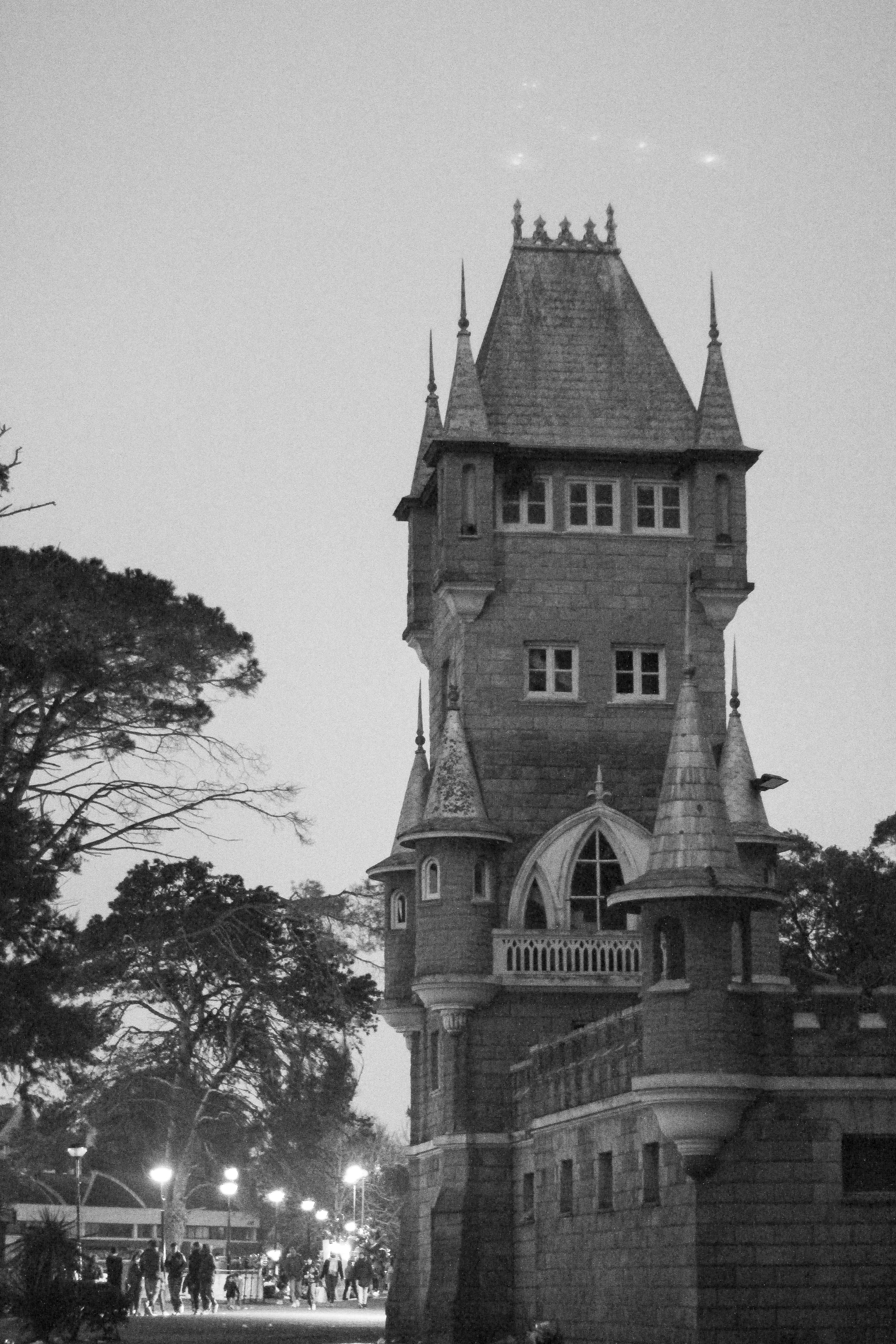 Grayscale Photo of a Concrete Castle · Free Stock Photo