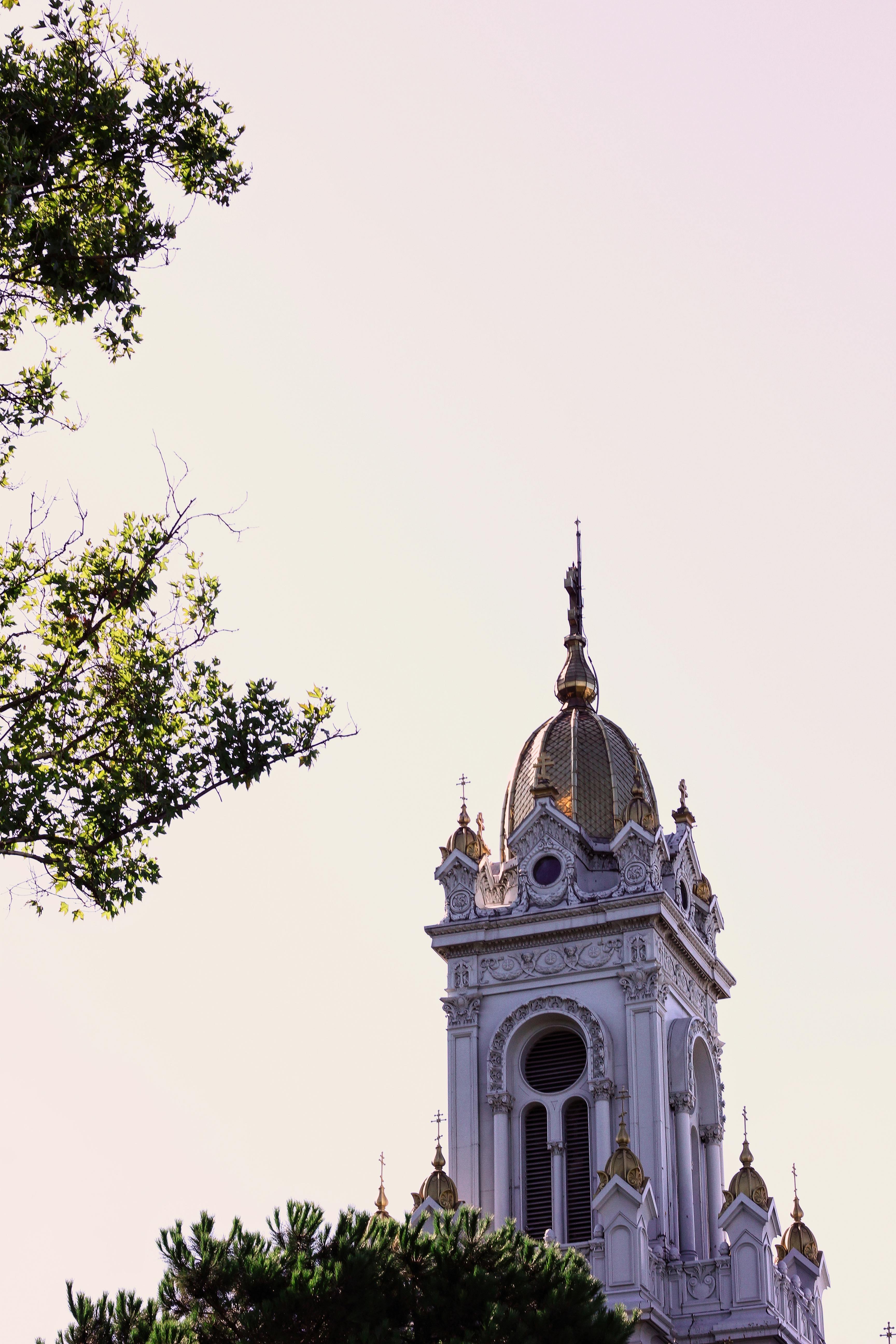 Mavera Photography - Photography