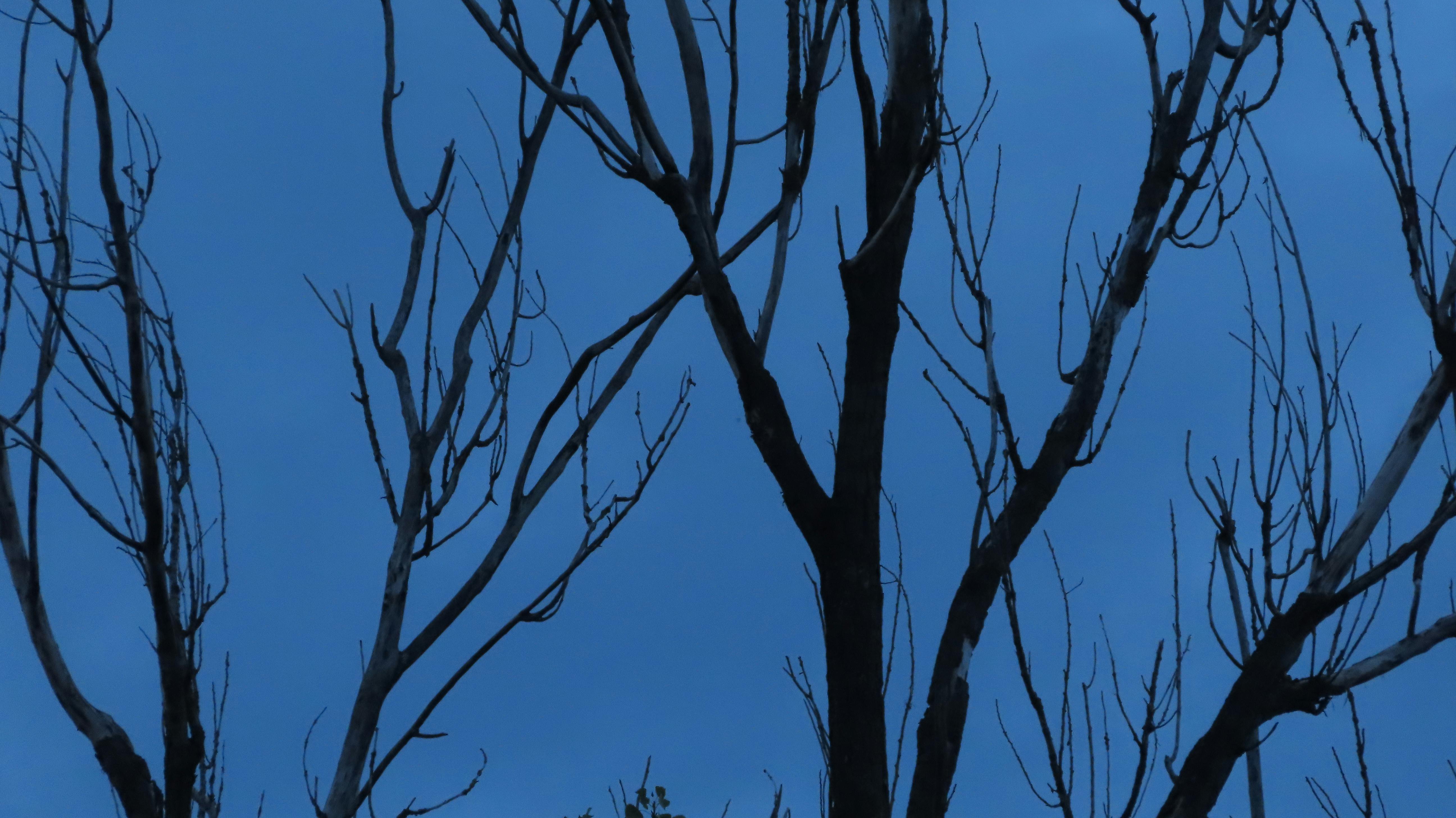 Liminal Spaces 17个图片和视频，由Will Bill Urban收藏