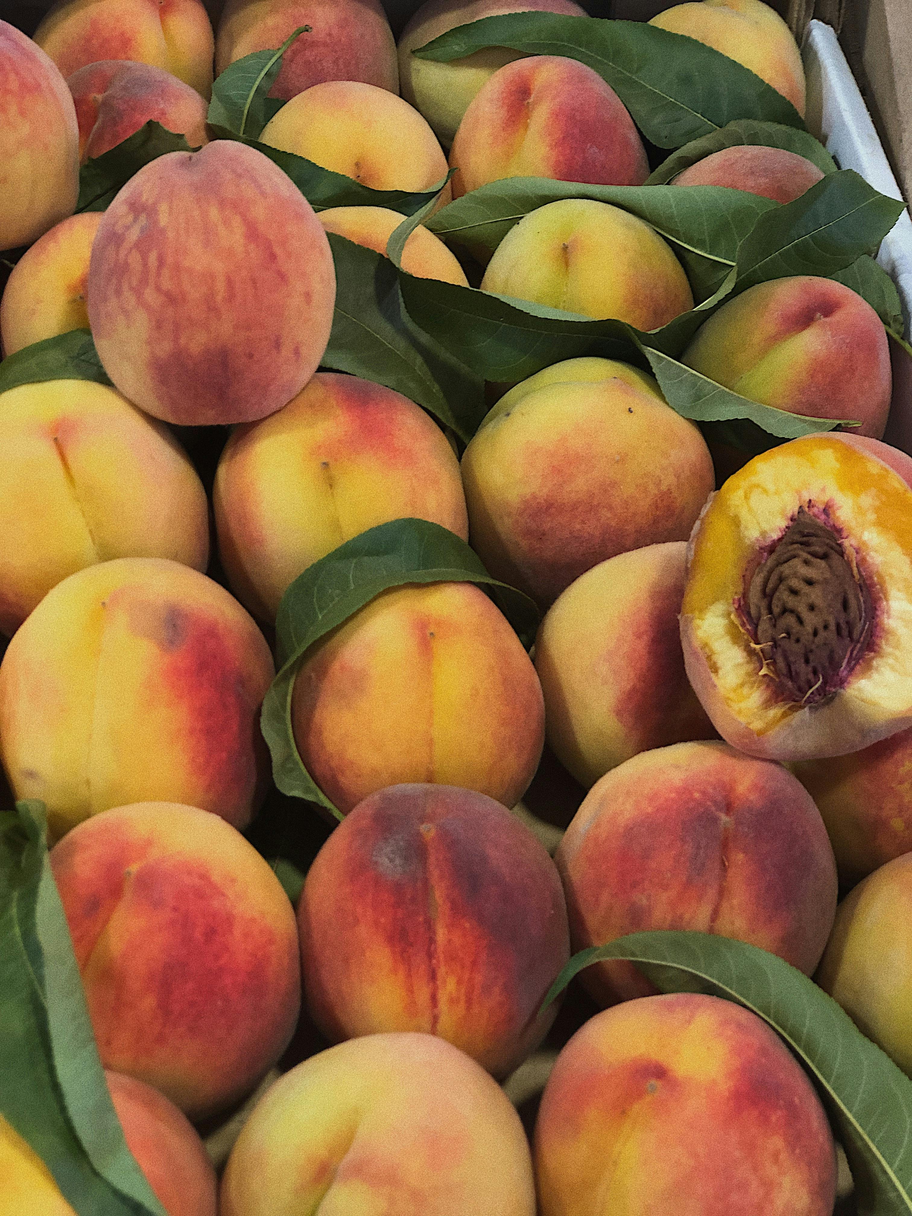 Close Up Photo of Peaches · Free Stock Photo