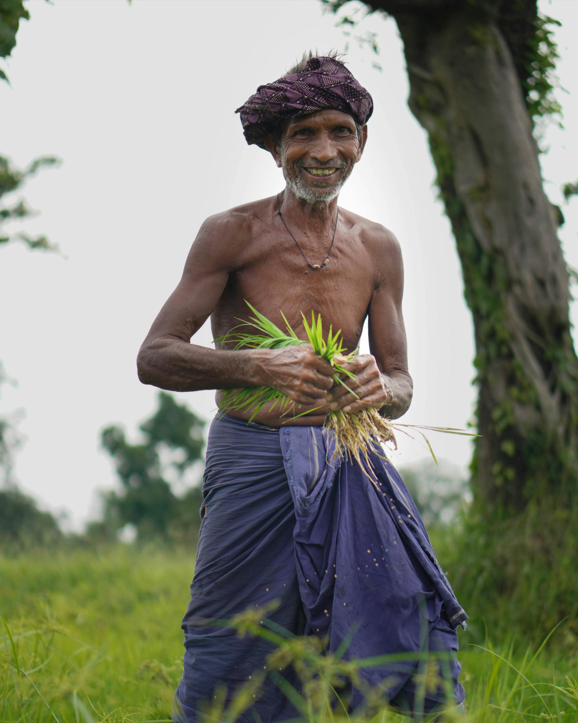 Shirtless Man Holding Green Grass · Free Stock Photo