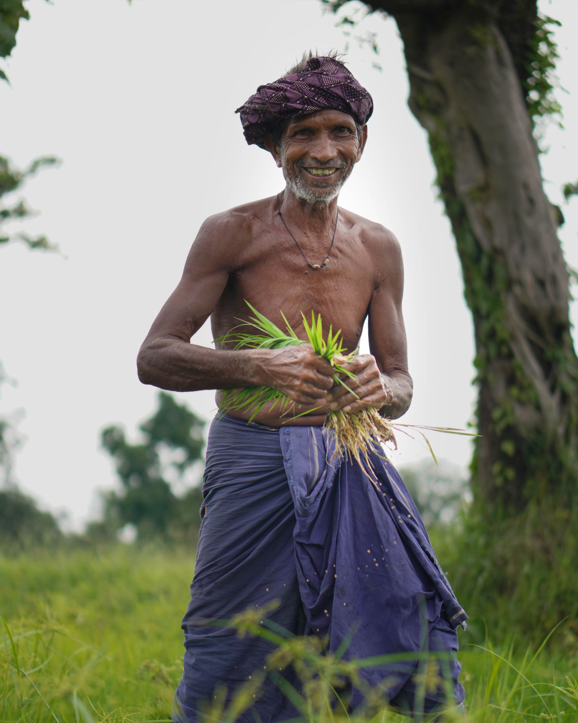 Farmers Shirtless Photos, Download Free Farmers Shirtless Stock Photos ...