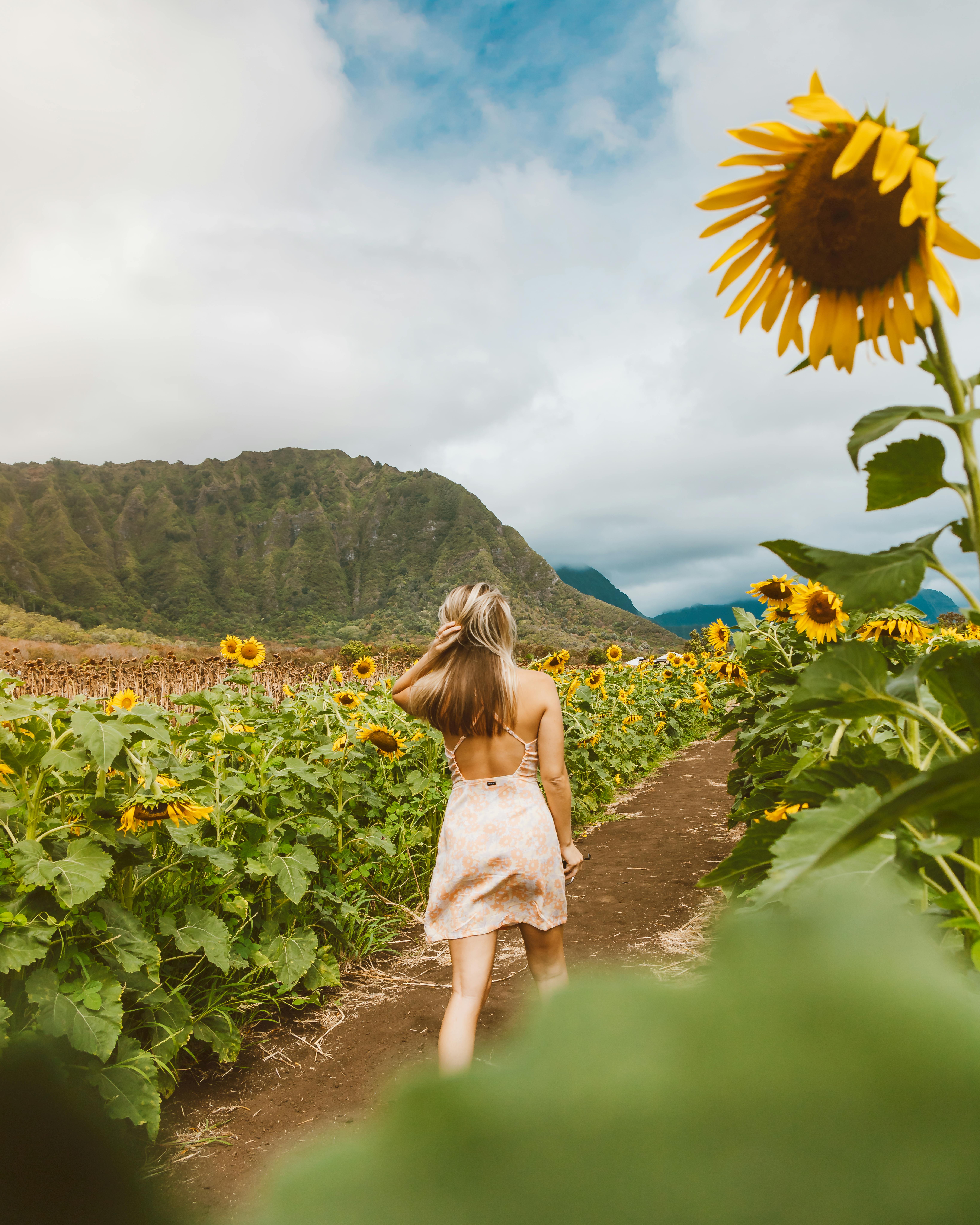 Woman in Floral Dress Walking on Sunflower Field · Free Stock Photo