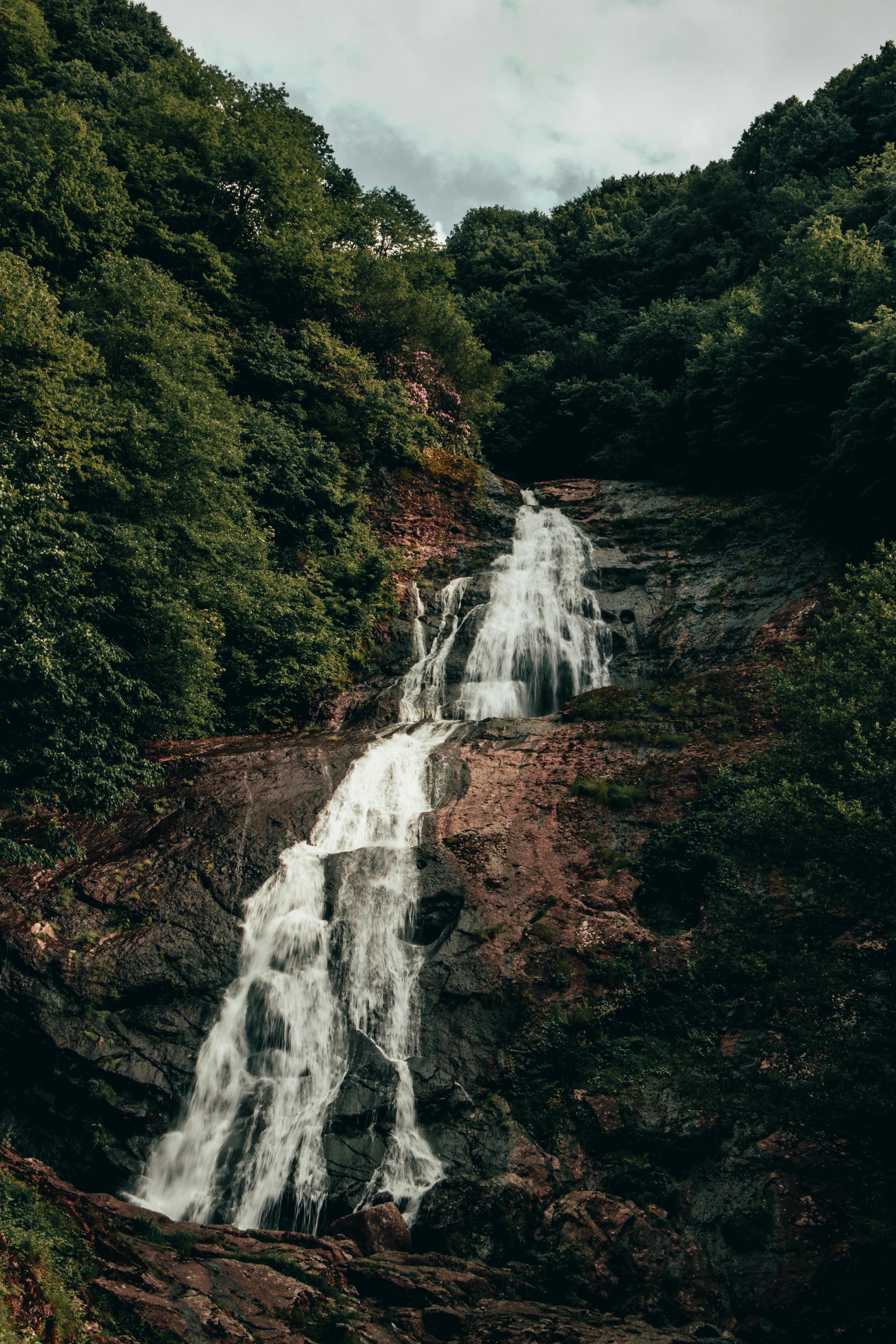 Photo of Waterfalls Near Trees · Free Stock Photo