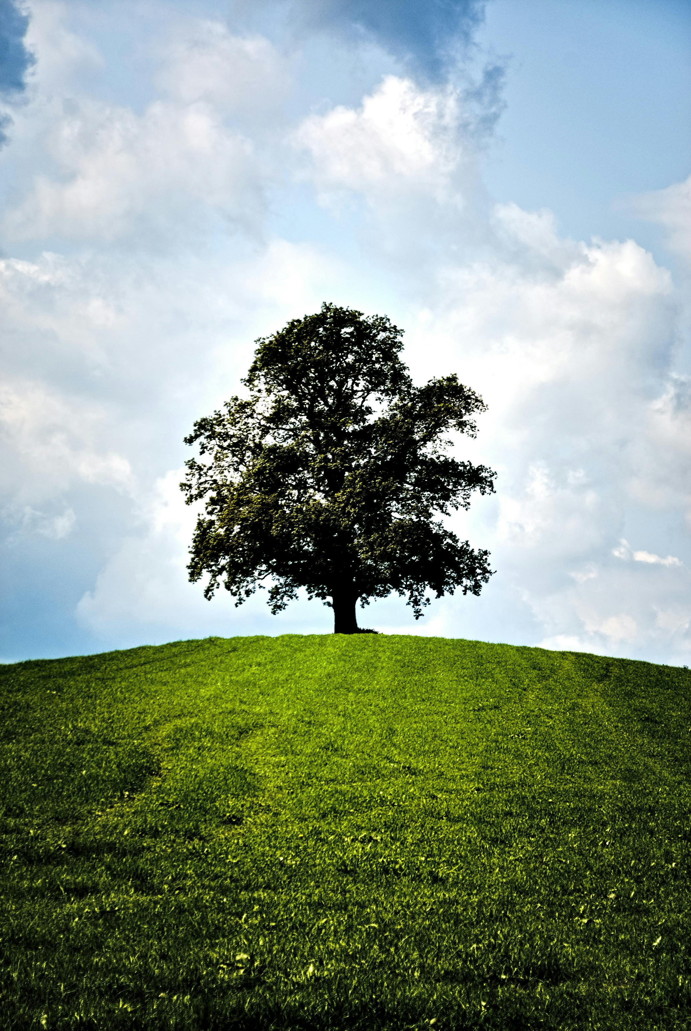 Matthias Fiesel - Photography