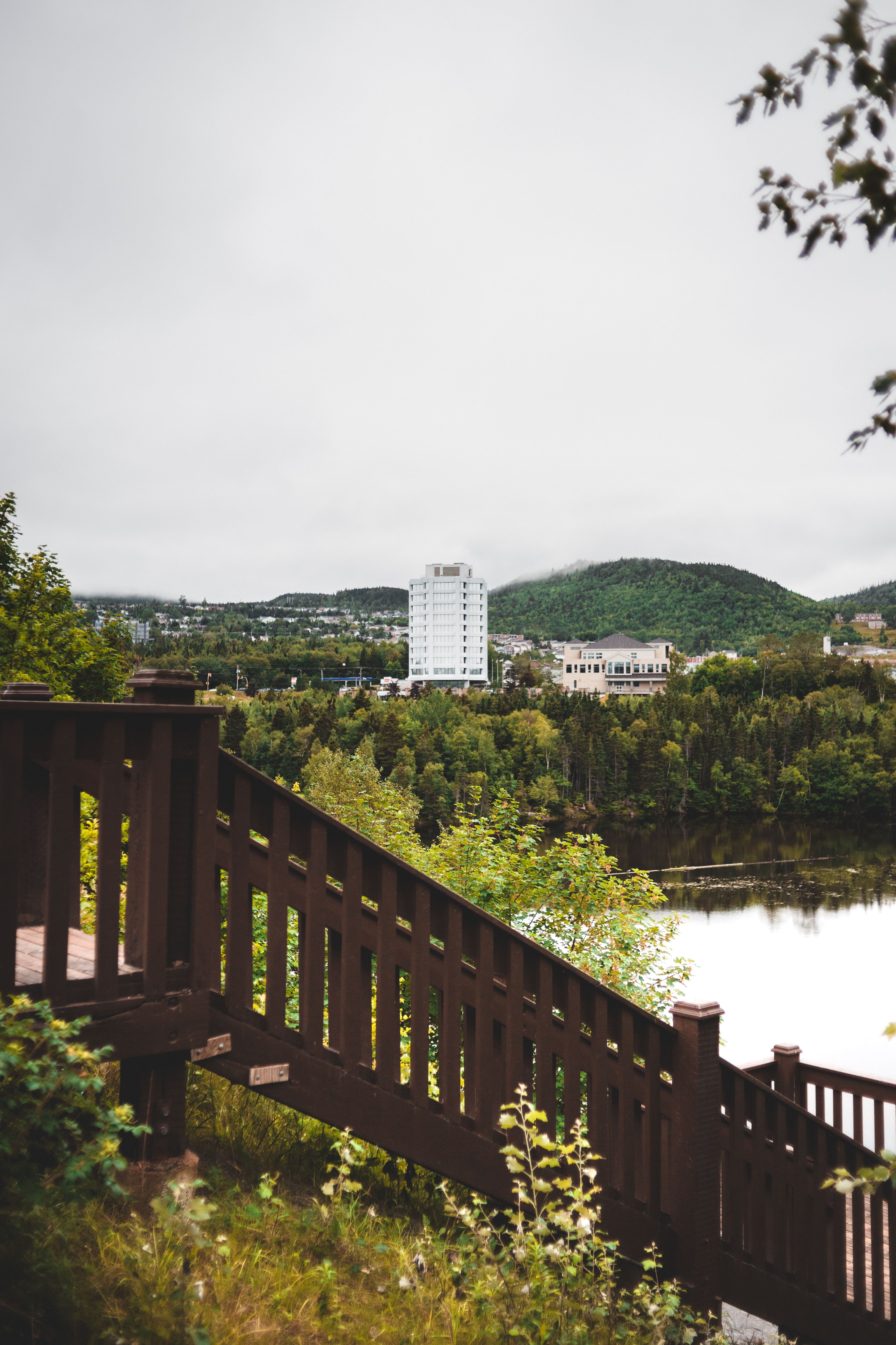 Wooden Railings on Flooded Deck · Free Stock Photo