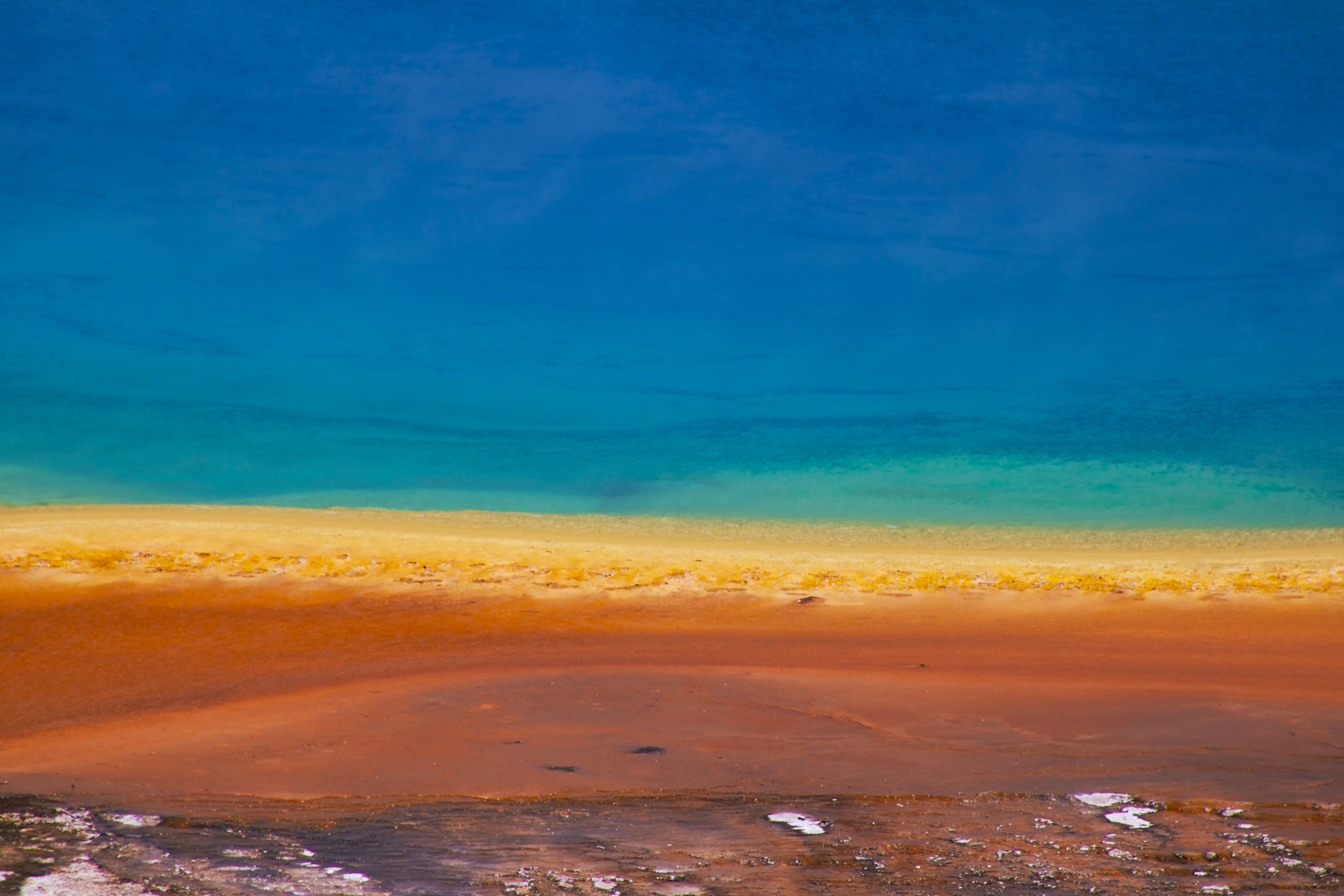 A View of the Beach with Turquoise Water · Free Stock Photo