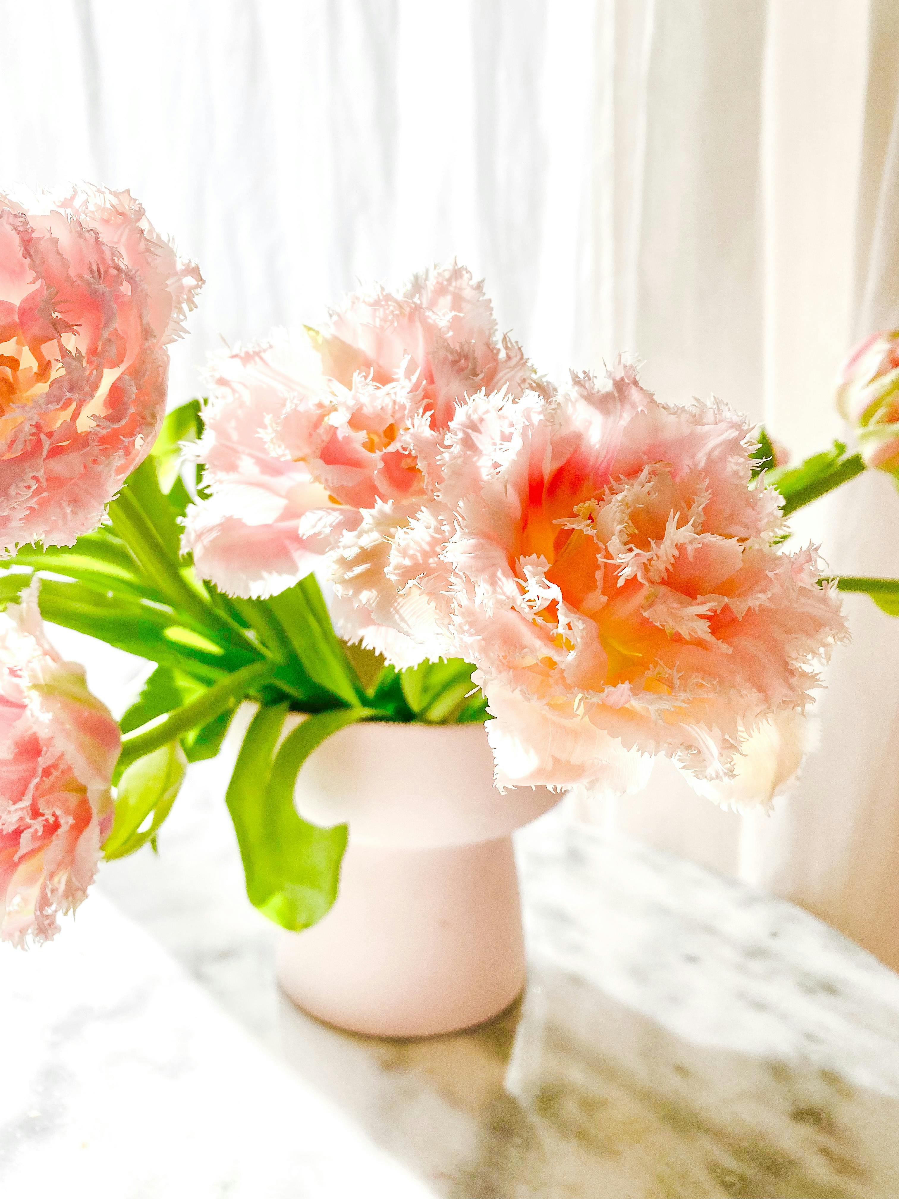 Close-Up Shot of Pink Flowers in Vase · Free Stock Photo