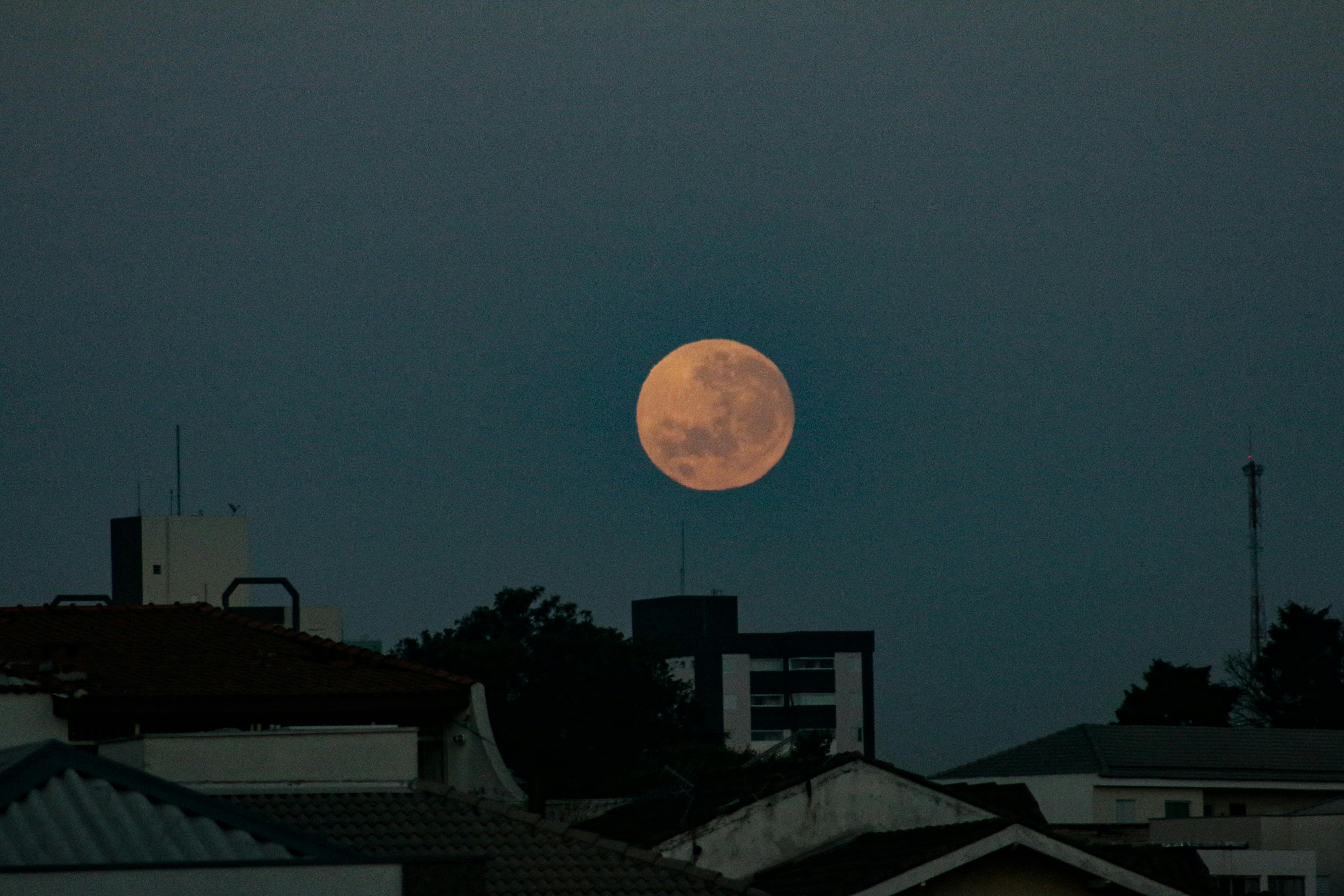 A Full Moon over the City · Free Stock Photo