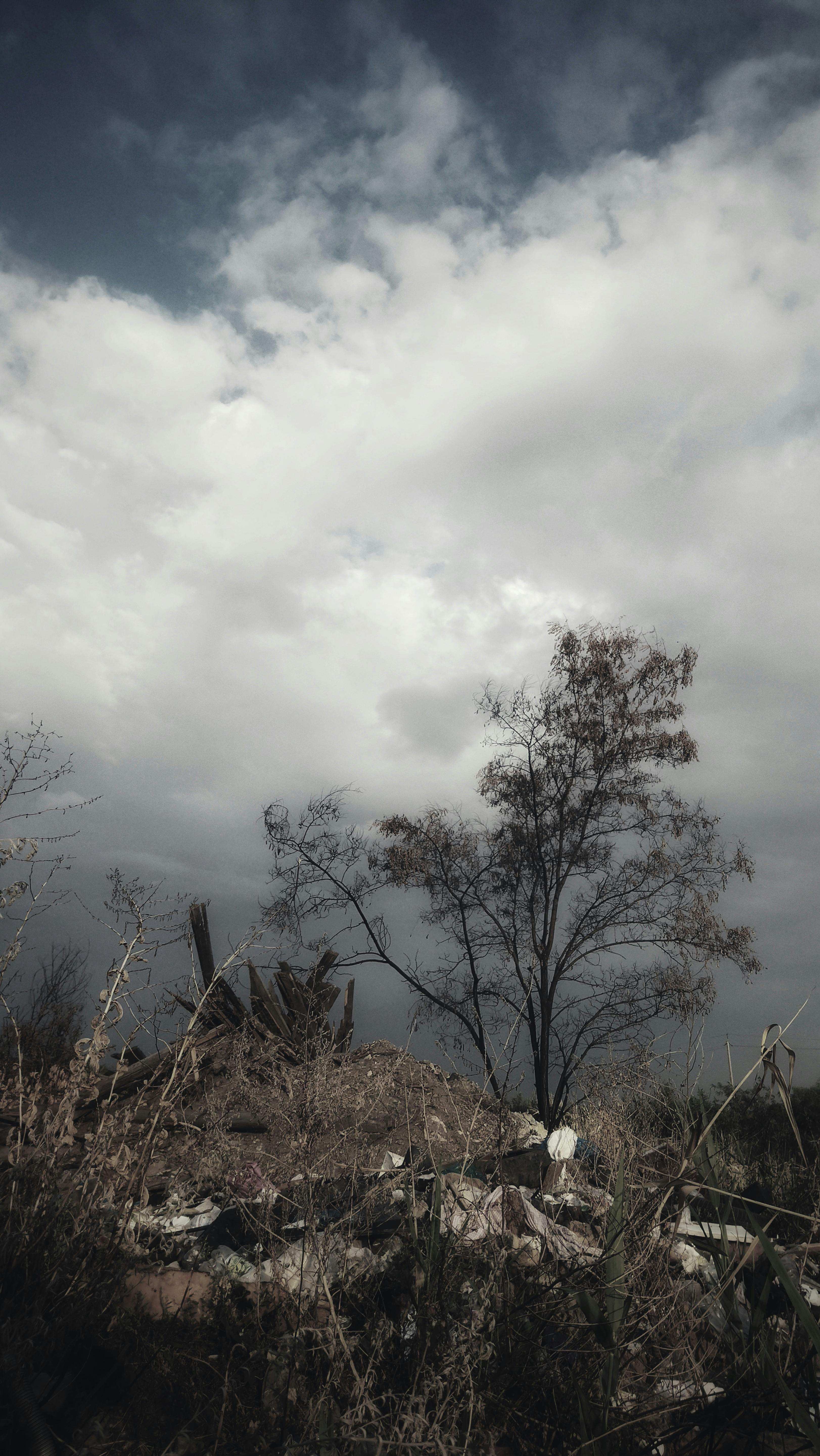 ВПС 13 Photos & Videos Collected by Ally Ross