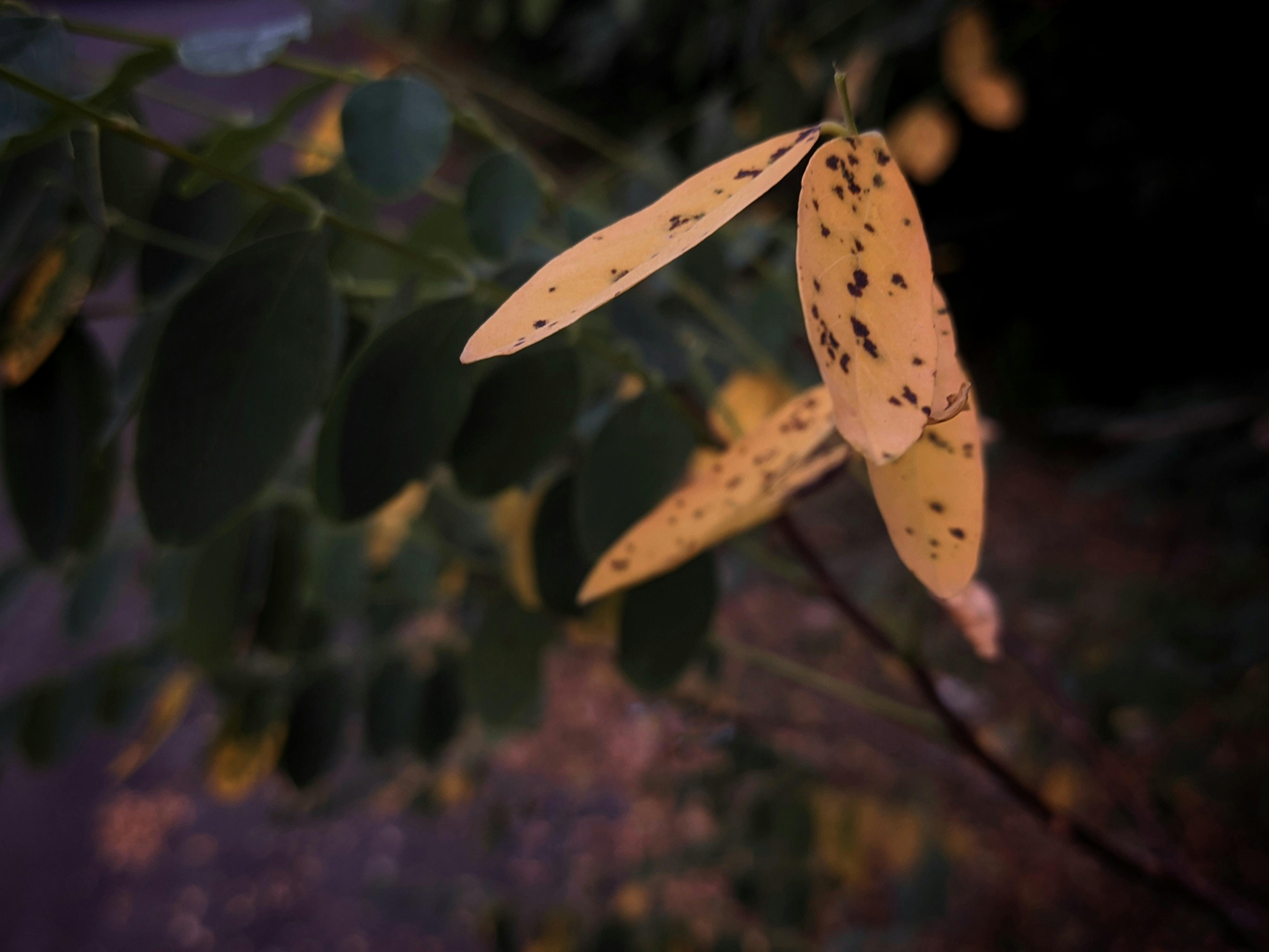 ВПС 13 Photos & Videos Collected by Ally Ross