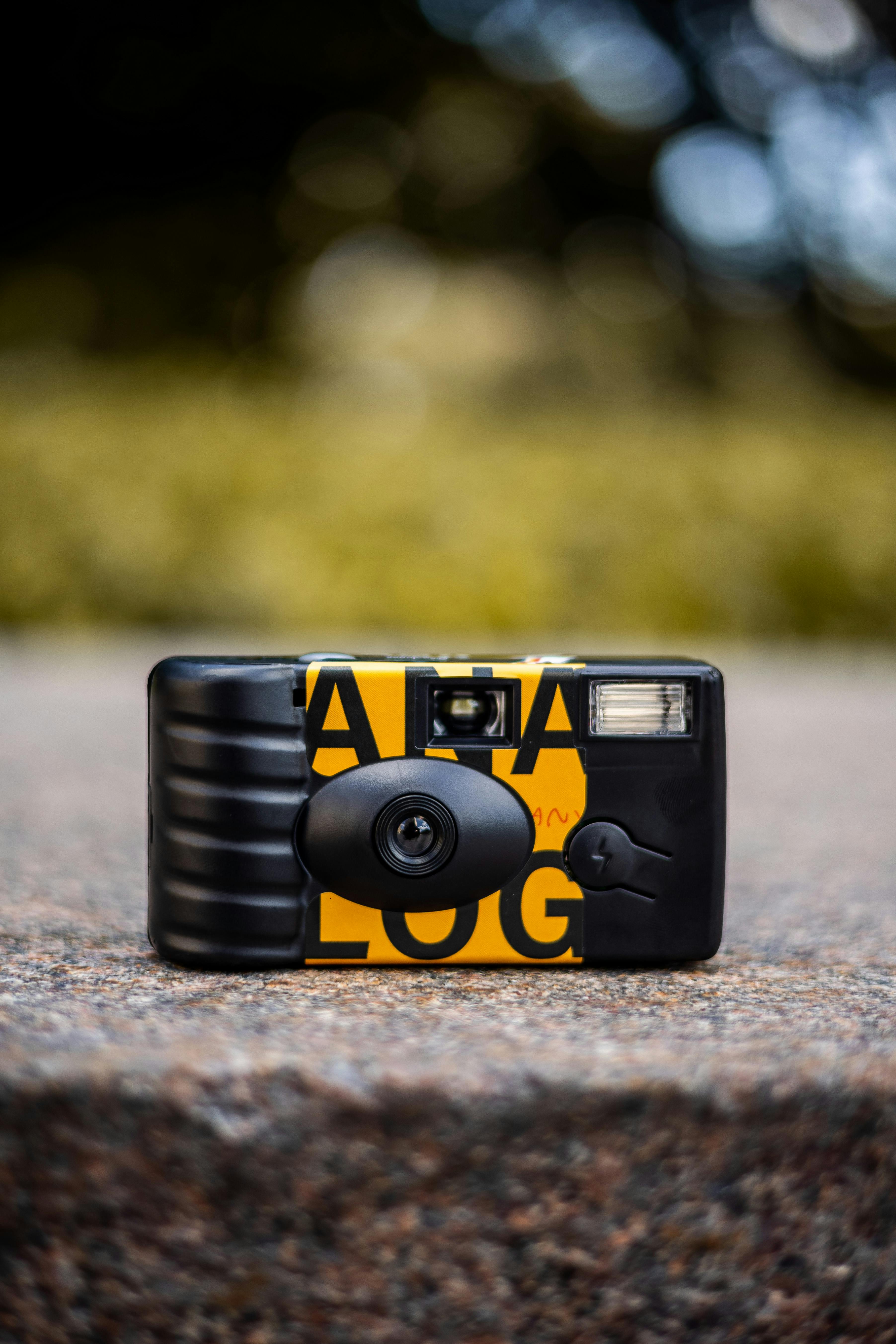 Disposable Camera Photos, Download The BEST Free Disposable Camera ...