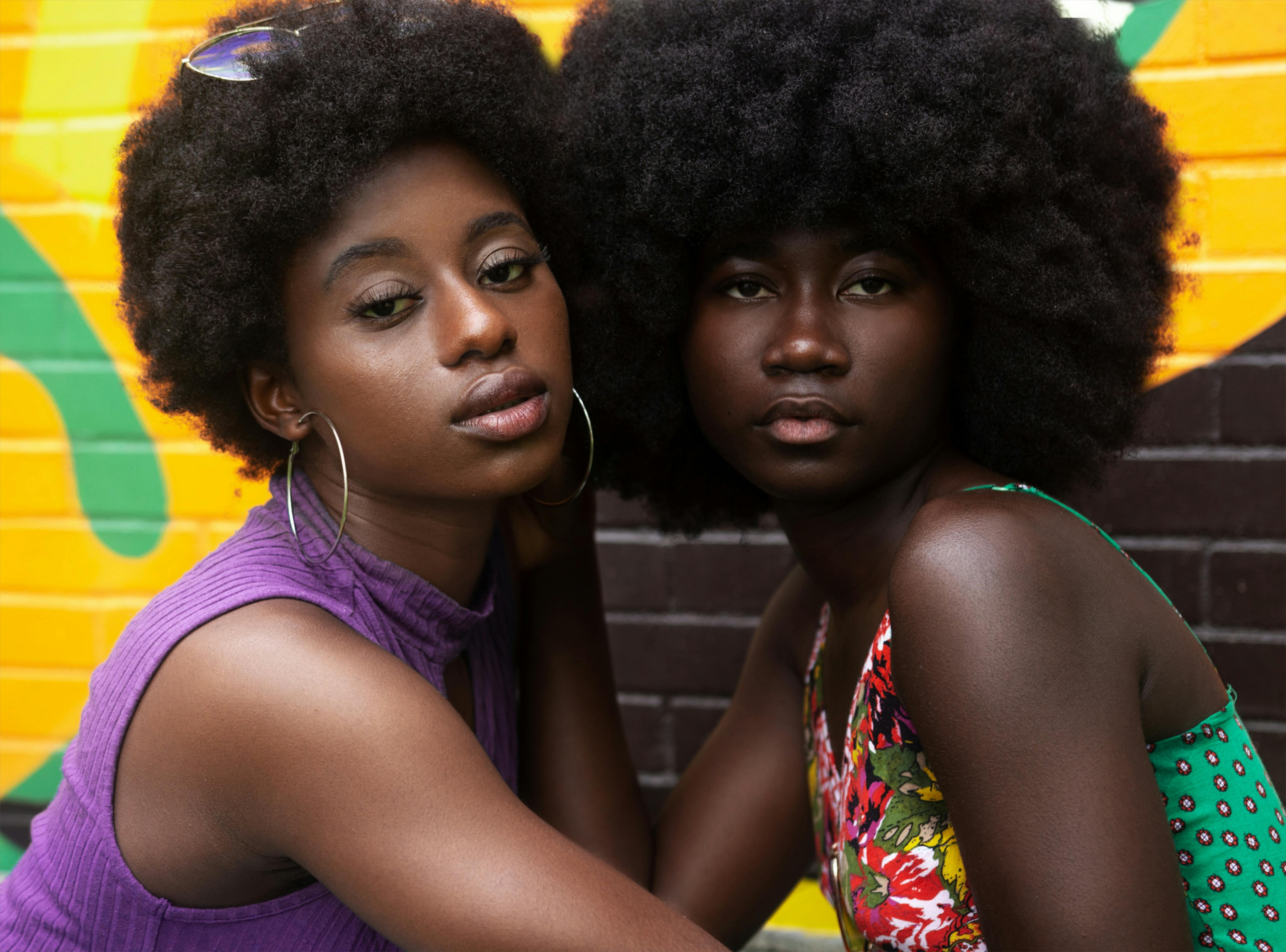 Close-Up Shot of Two Afro-Haired Women · Free Stock Photo