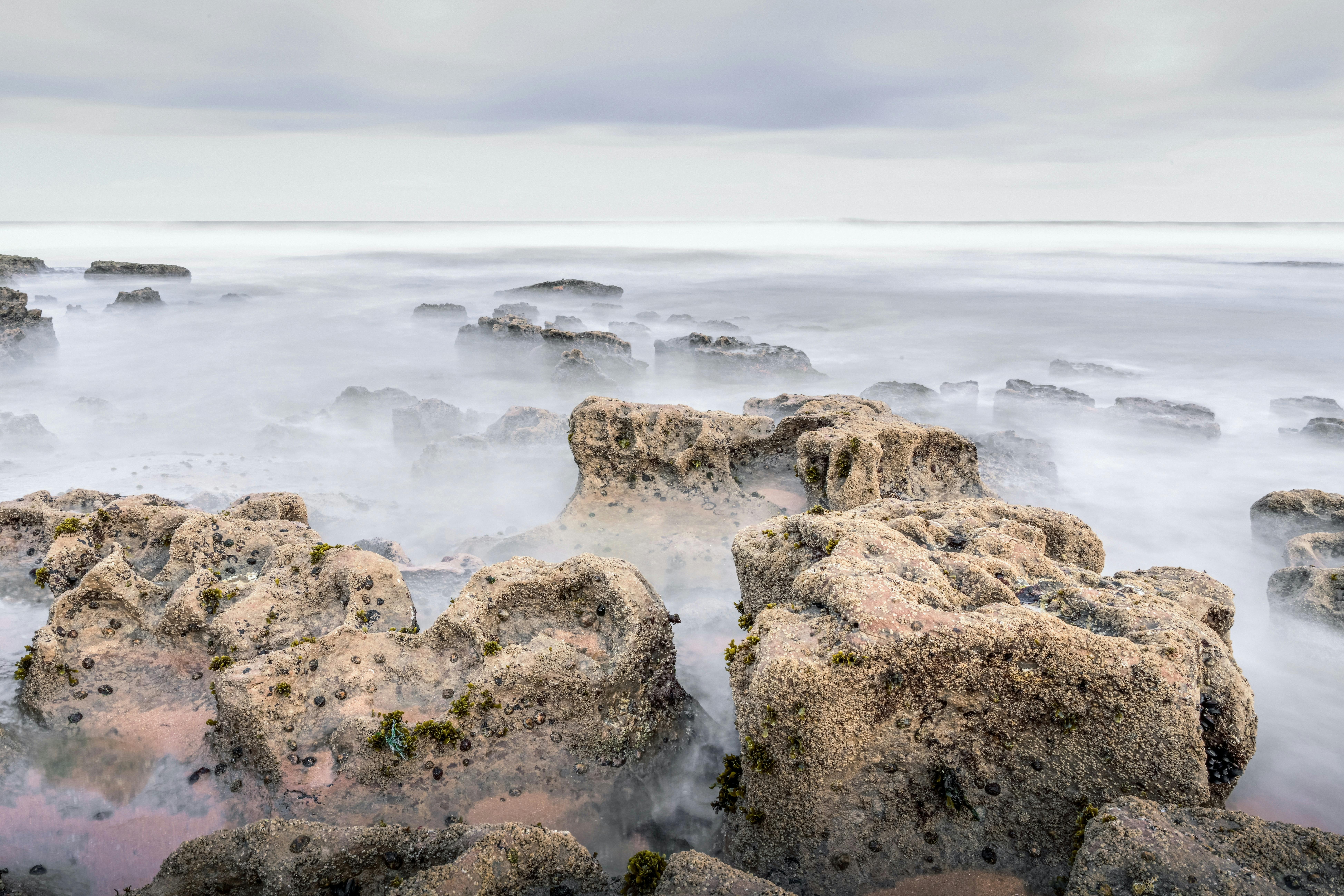 100,000+ Best Misty Ocean Sunset Photos · 100% Free Download · Pexels ...