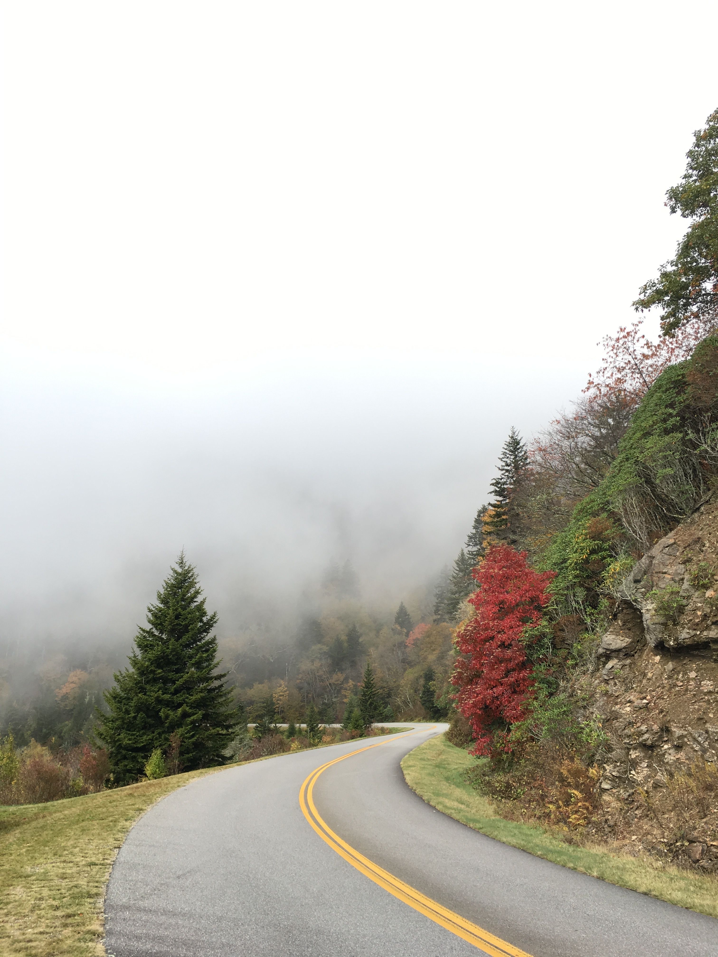 Road Going to a Mountain · Free Stock Photo