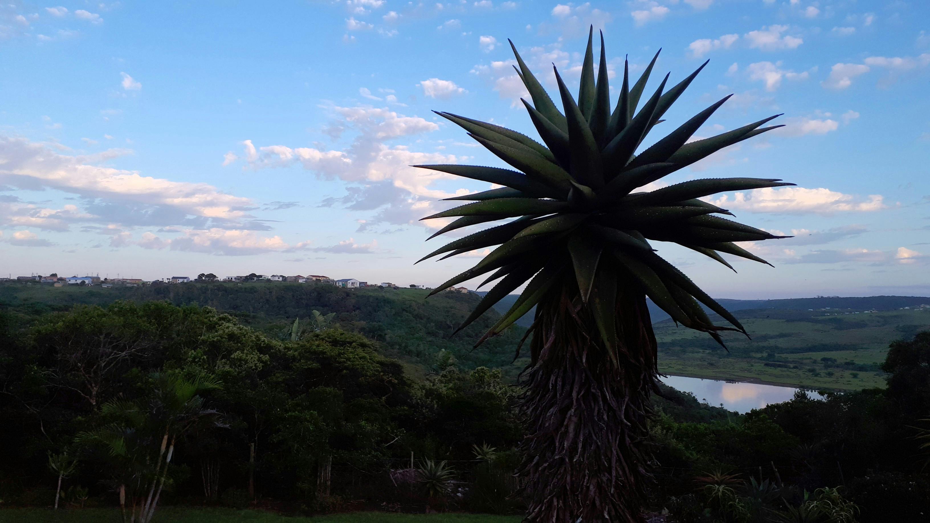 Mike Brassil - 写真