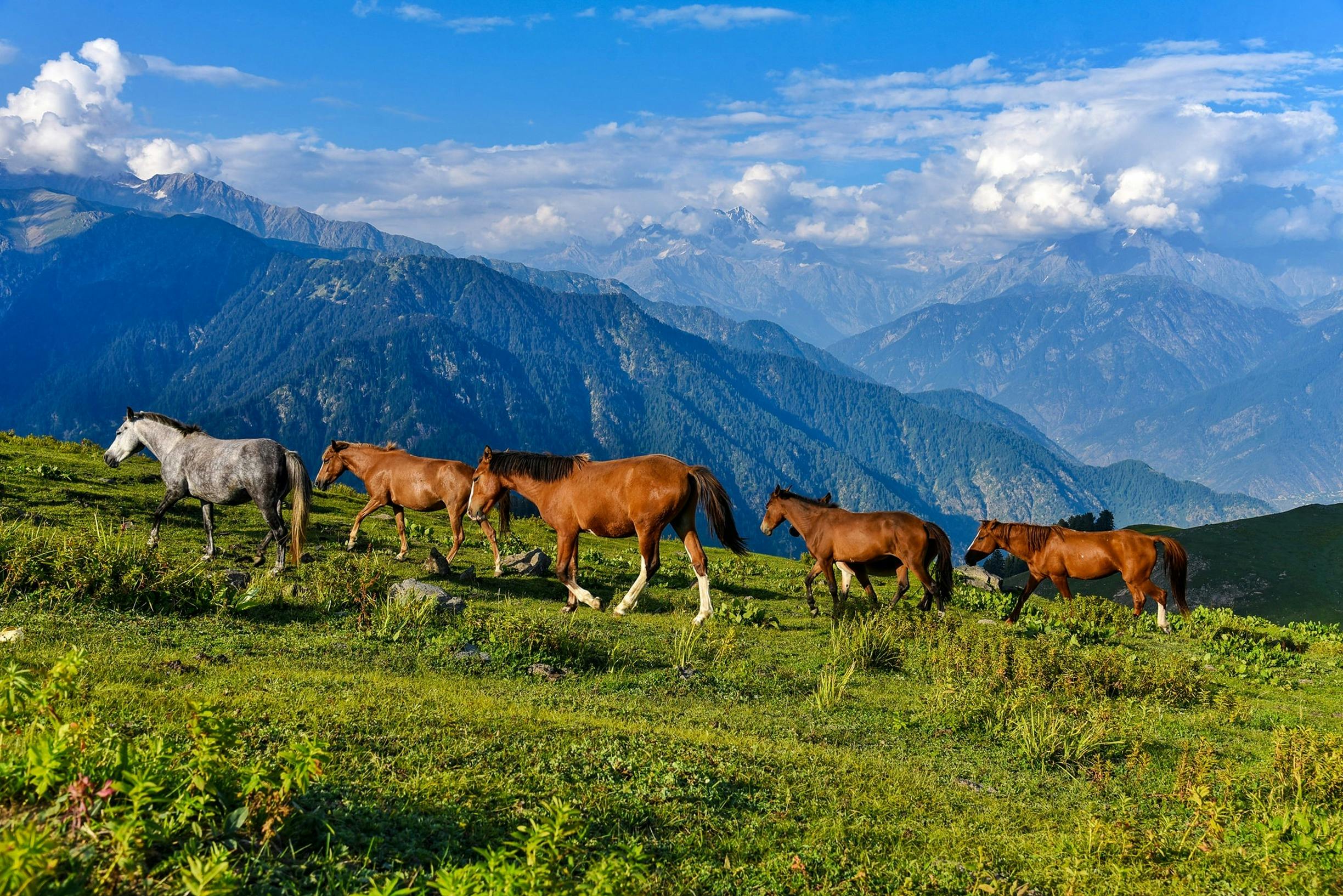 Side View Walking Photos, Download The BEST Free Side View Walking ...