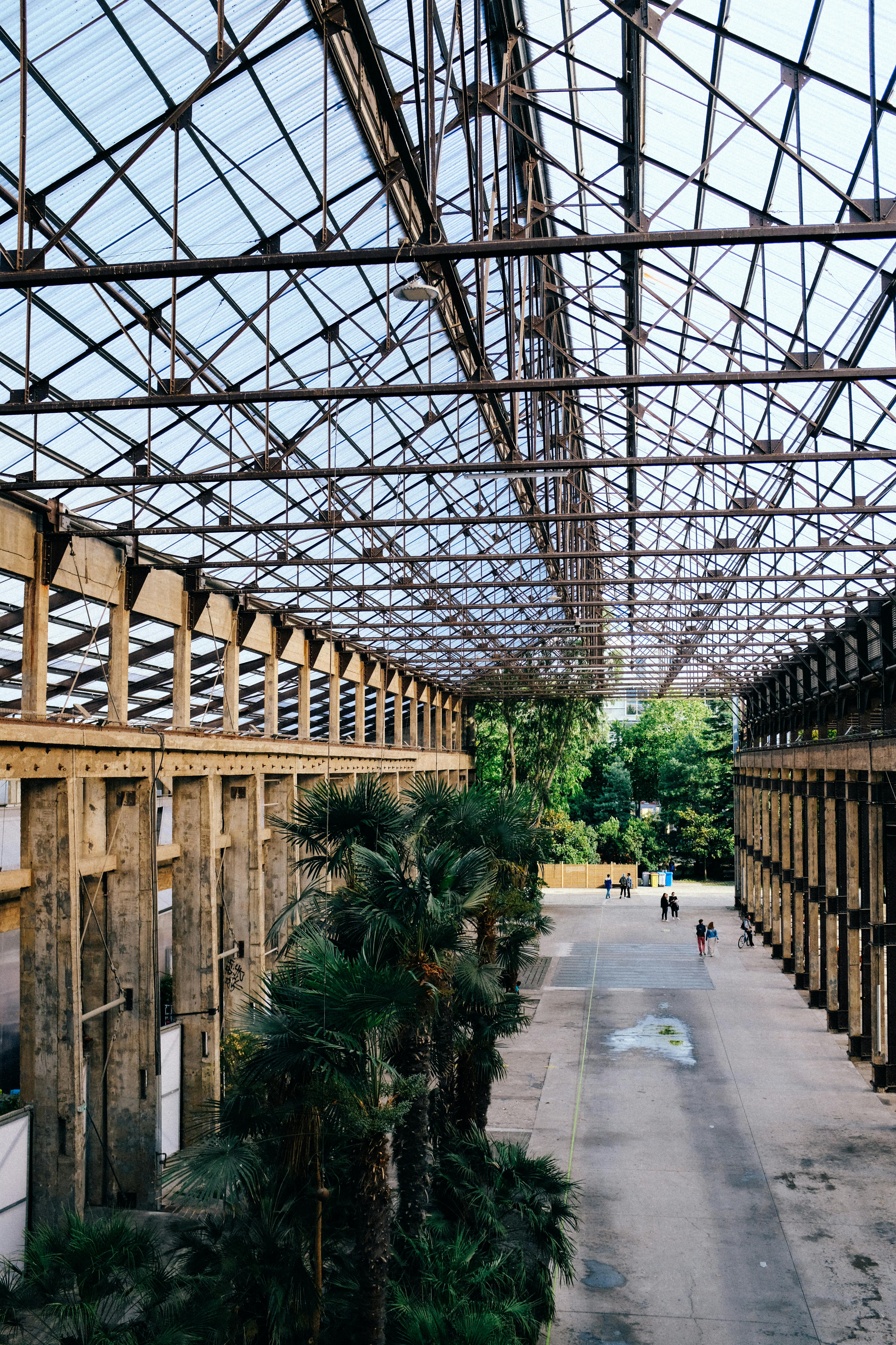 Plants in a Building · Free Stock Photo