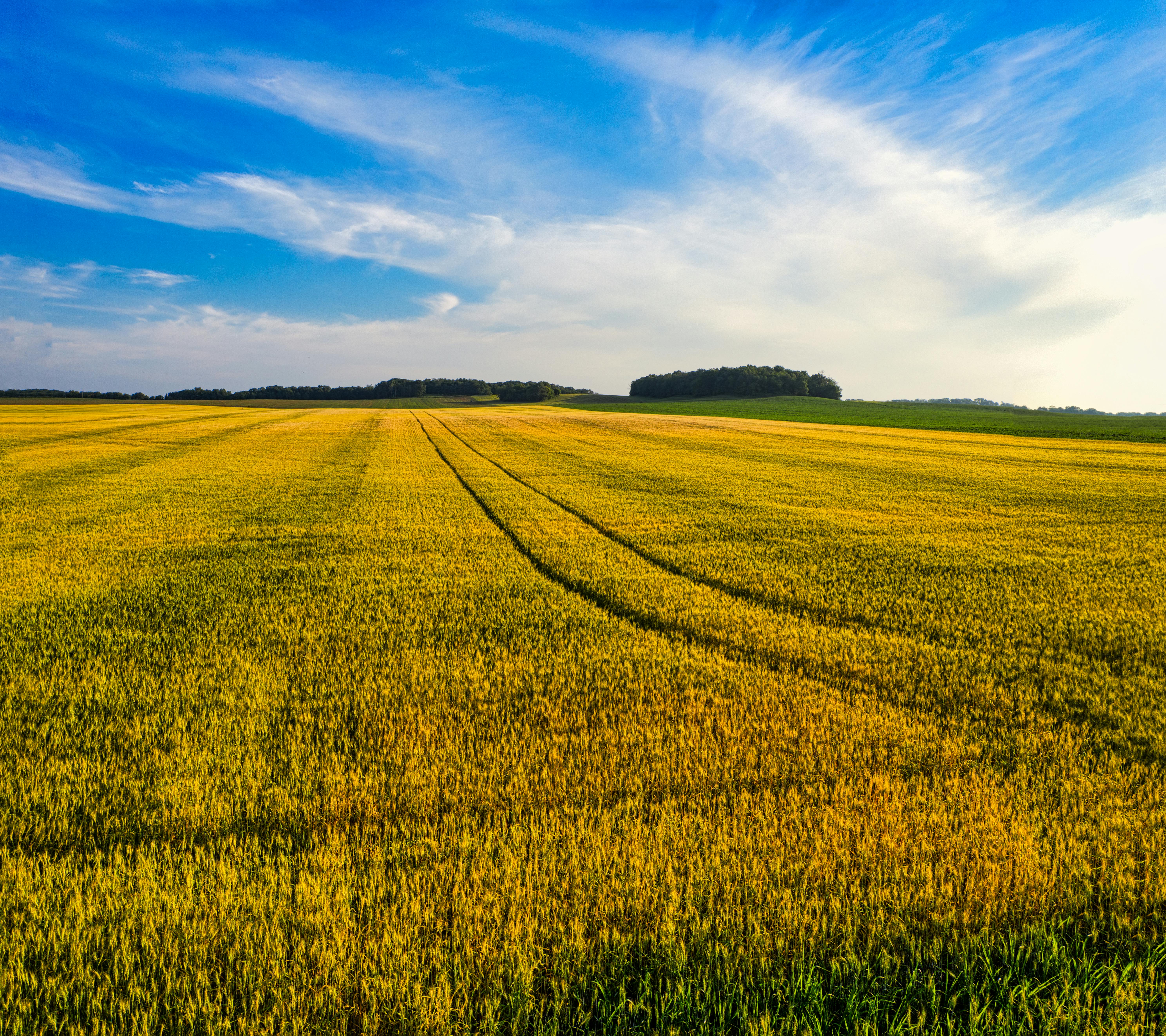 Cropland Under The Clear Blue Sky · Free Stock Photo