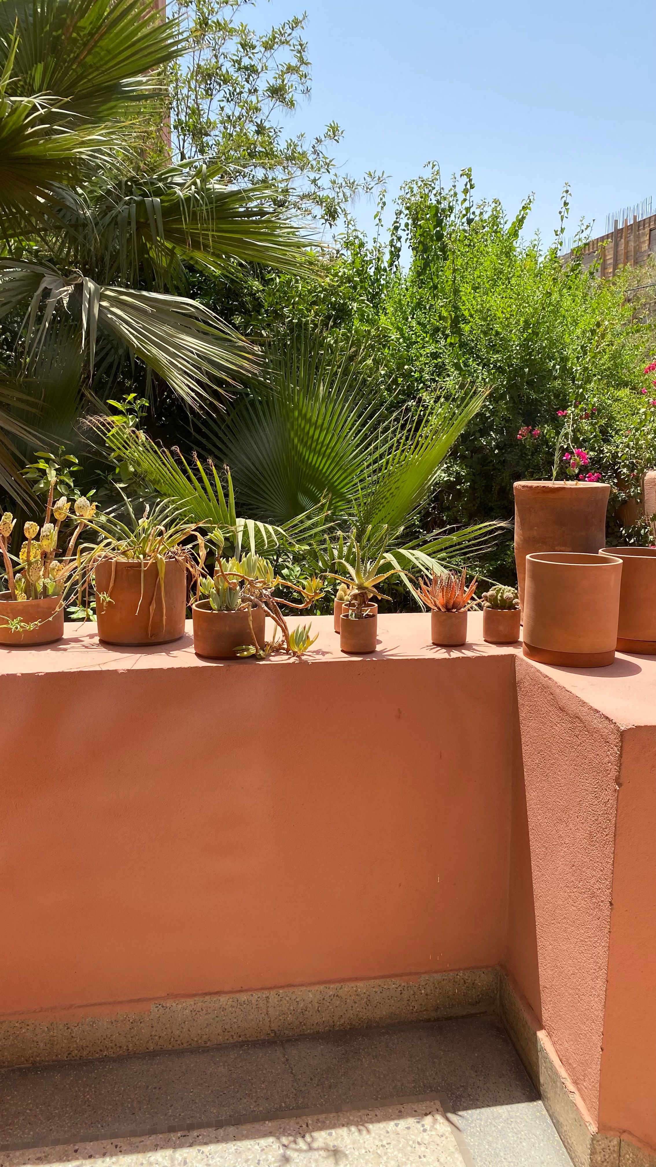 Green Plants on Brown Clay Pots · Free Stock Photo