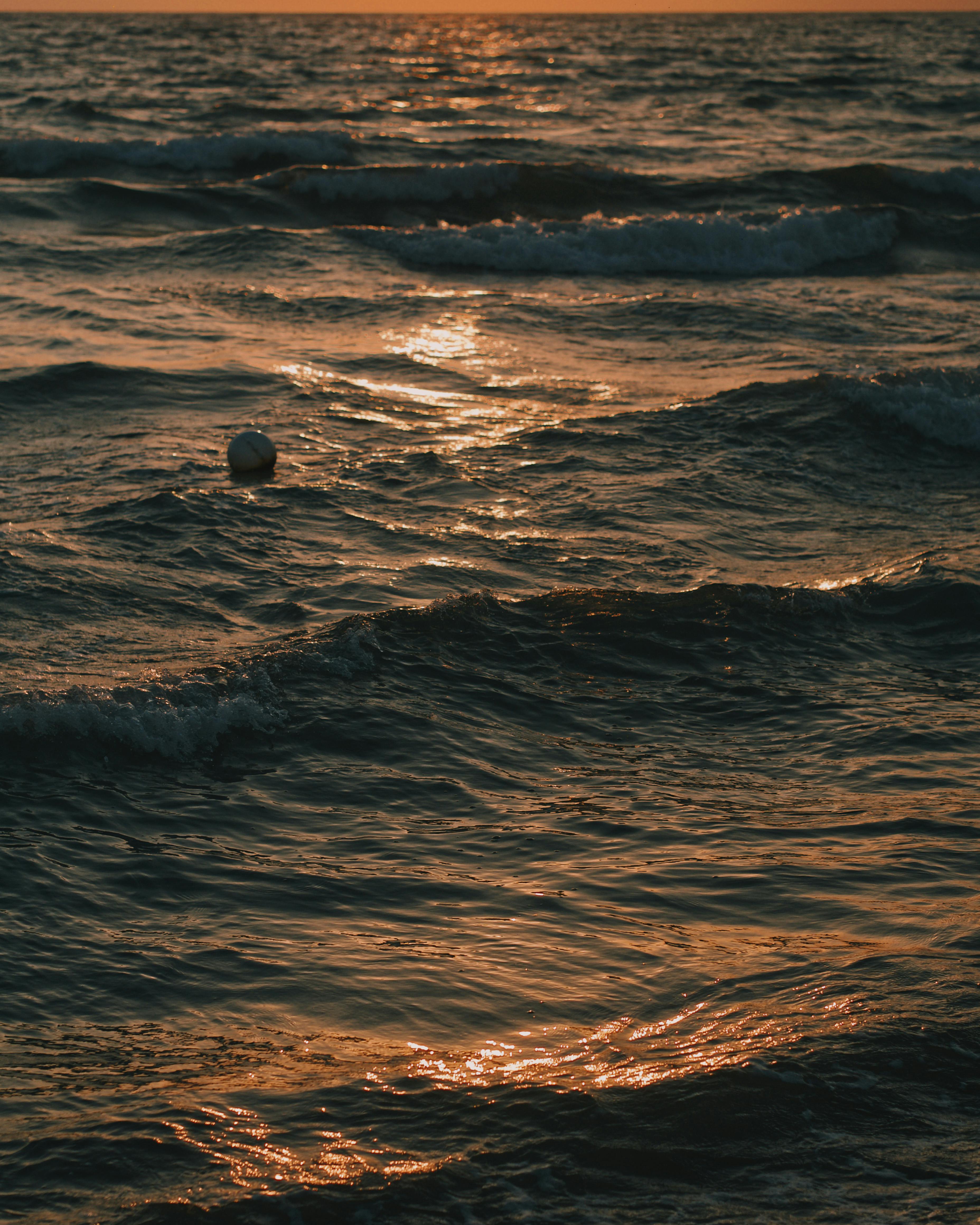 Birds Flying at Sunset over Sea · Free Stock Photo