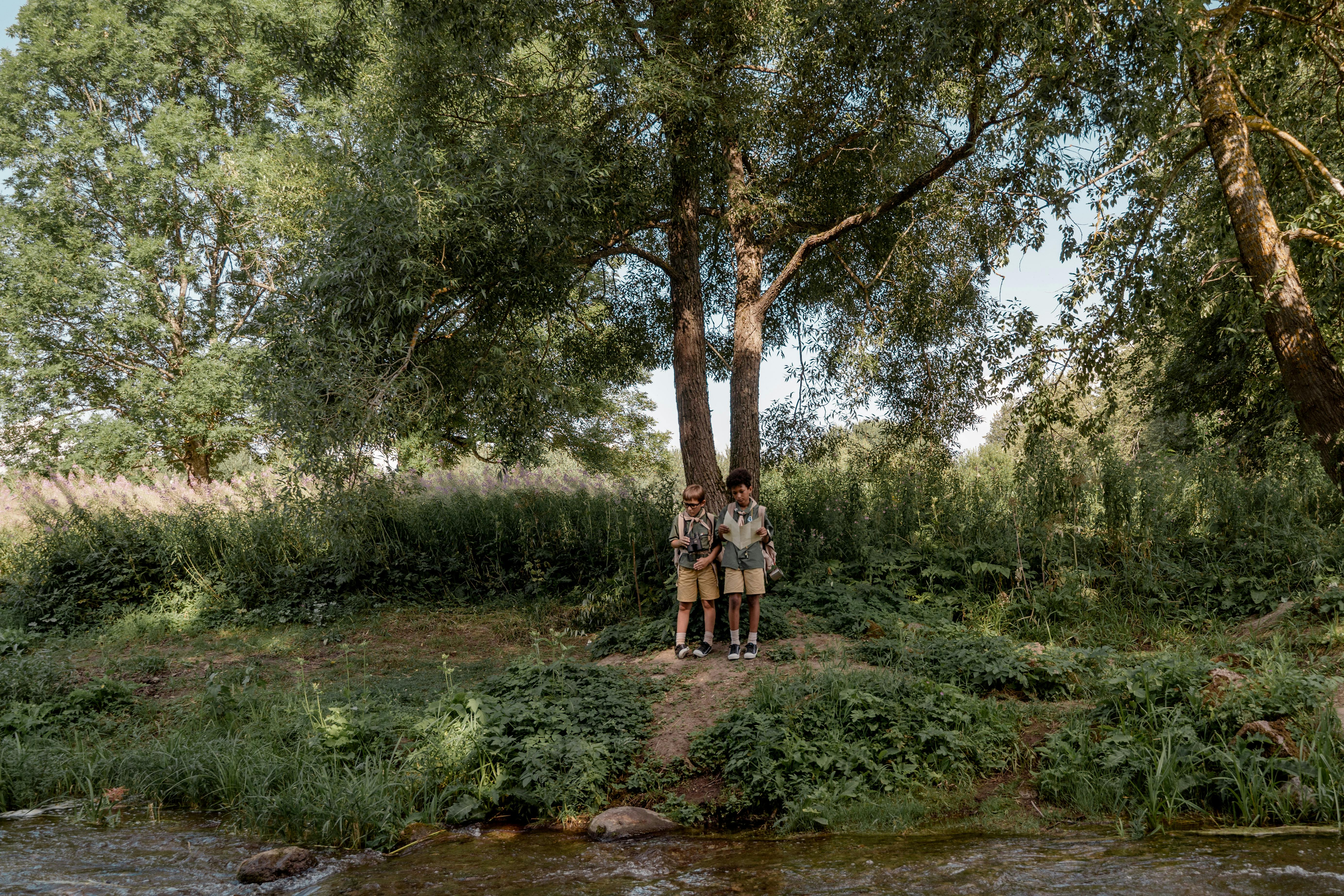 A Two Boys Standing Under the Tree · Free Stock Photo