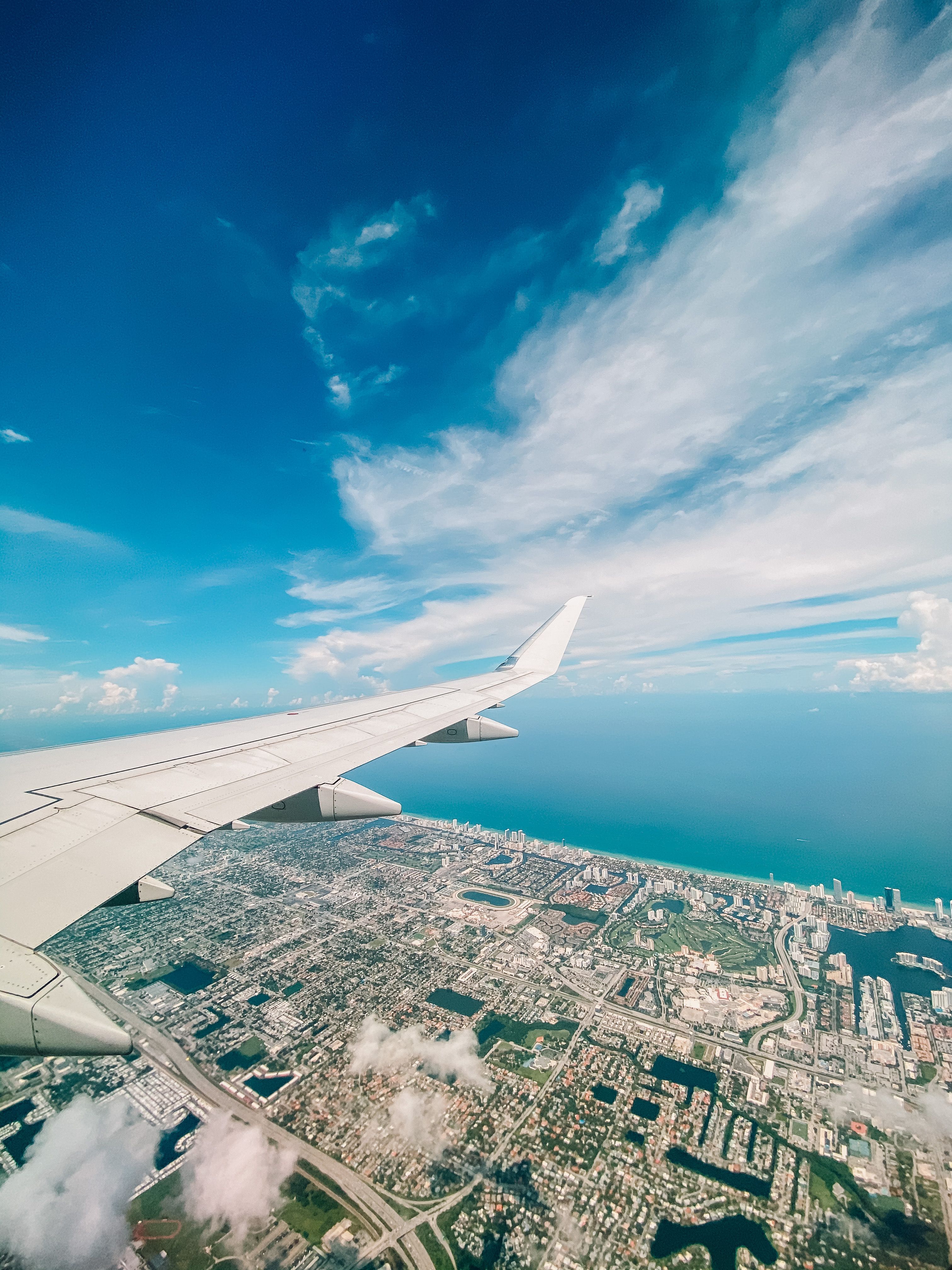 Top View of Plane Above Forest · Free Stock Photo