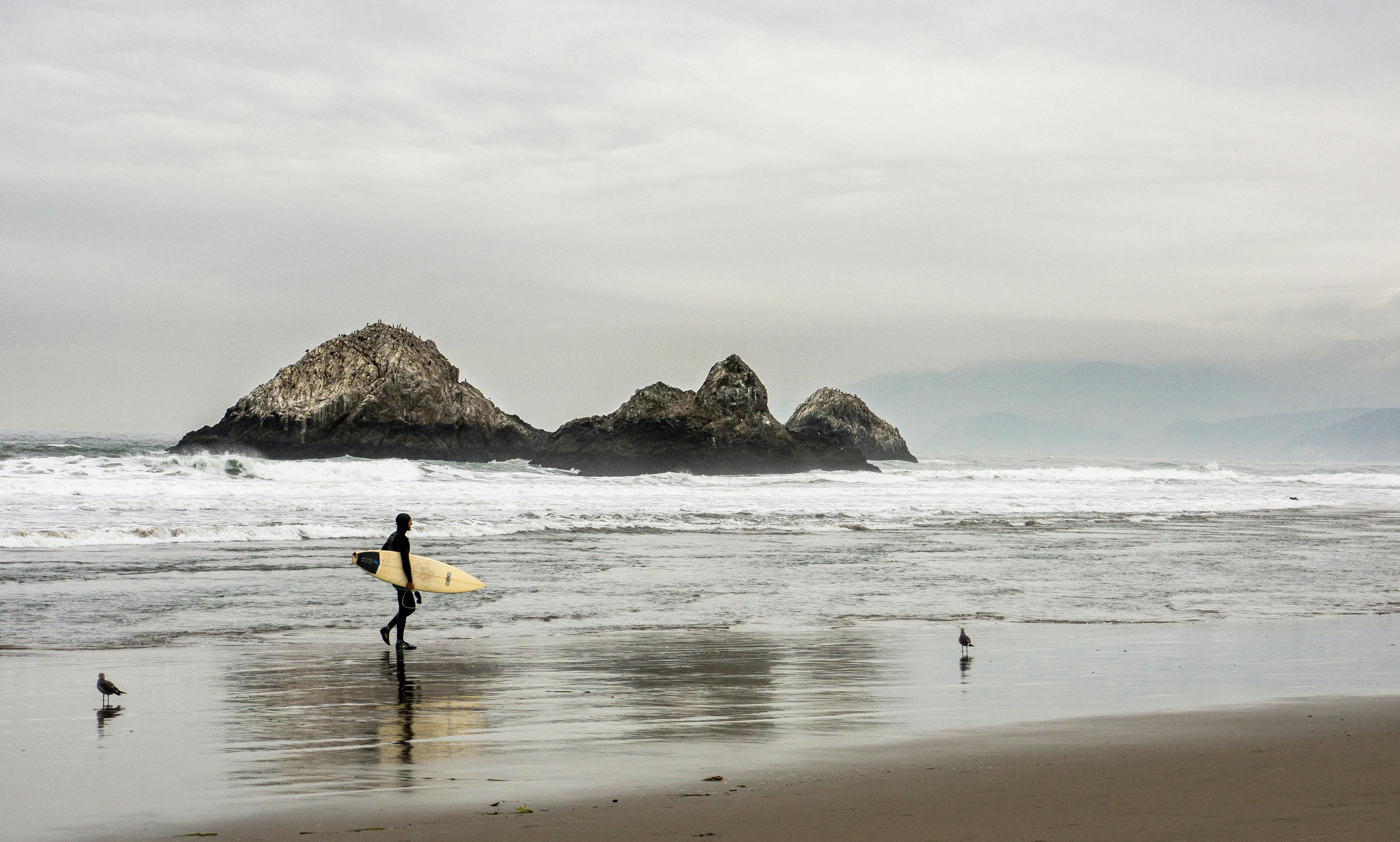 Seashore · Free Stock Photo