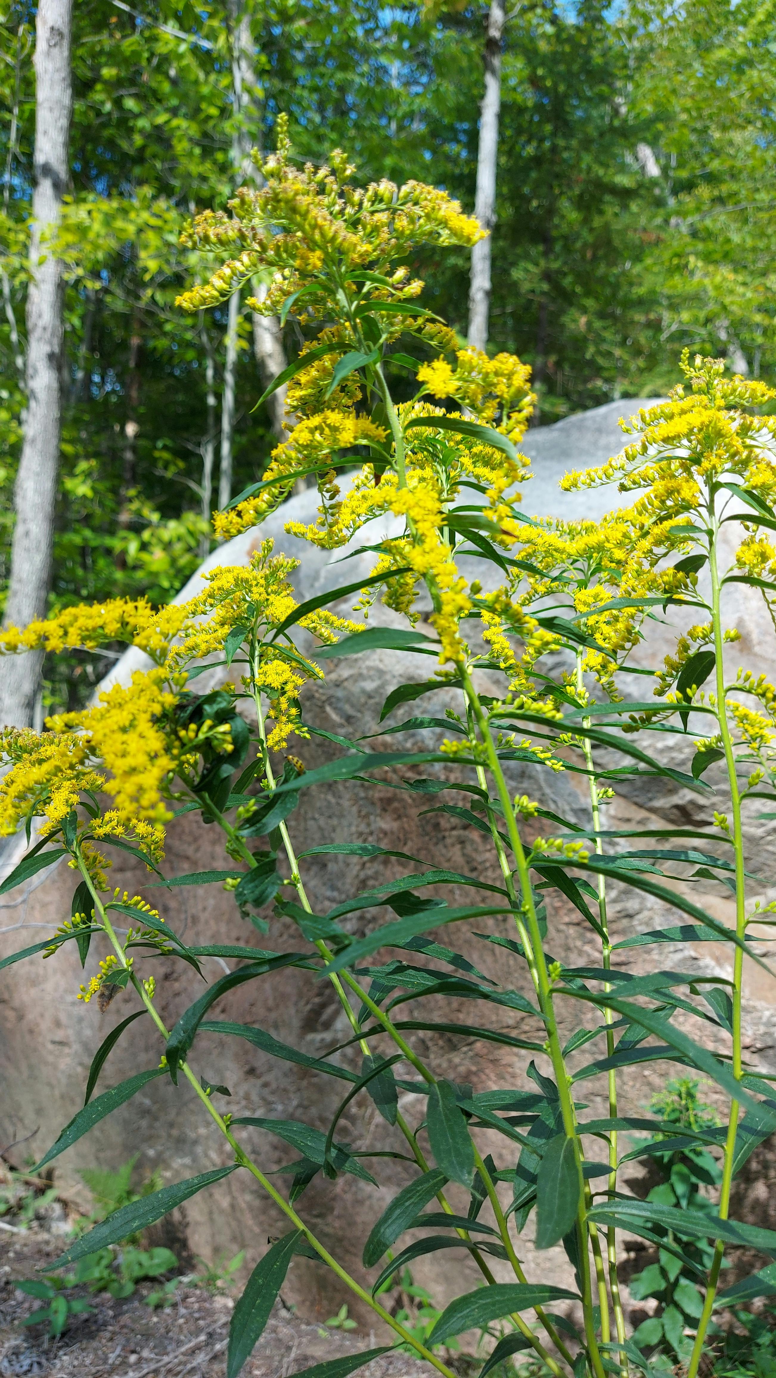 Alexandru Gutu - Photography