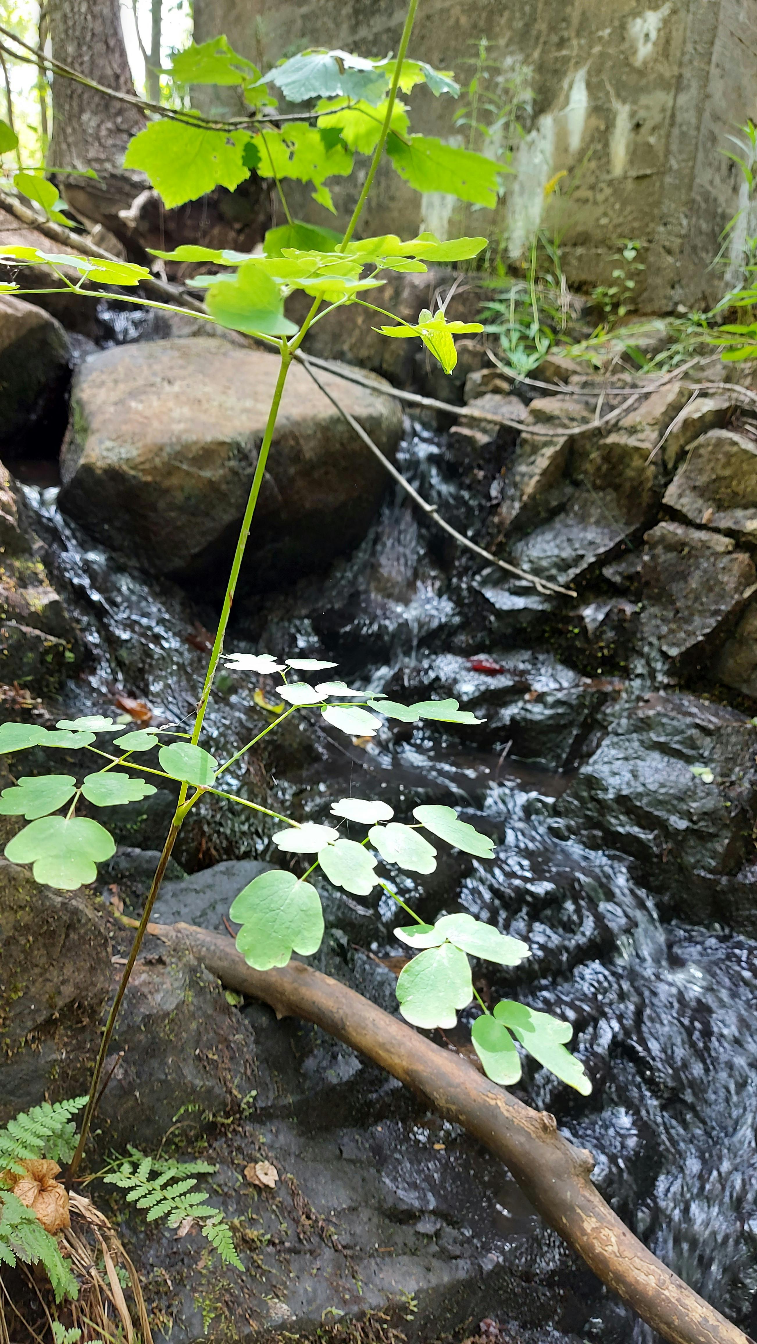 Alexandru Gutu - Photography