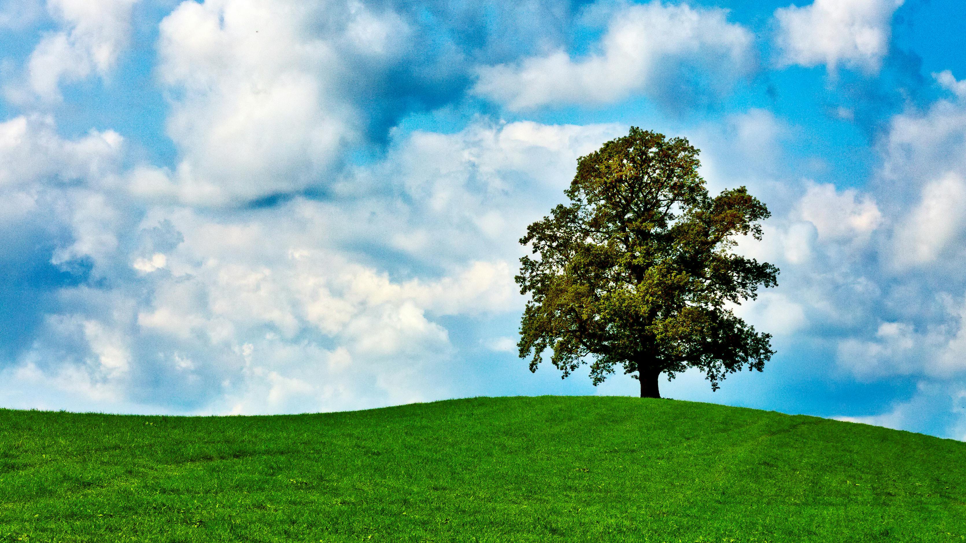 Matthias Fiesel - Photography