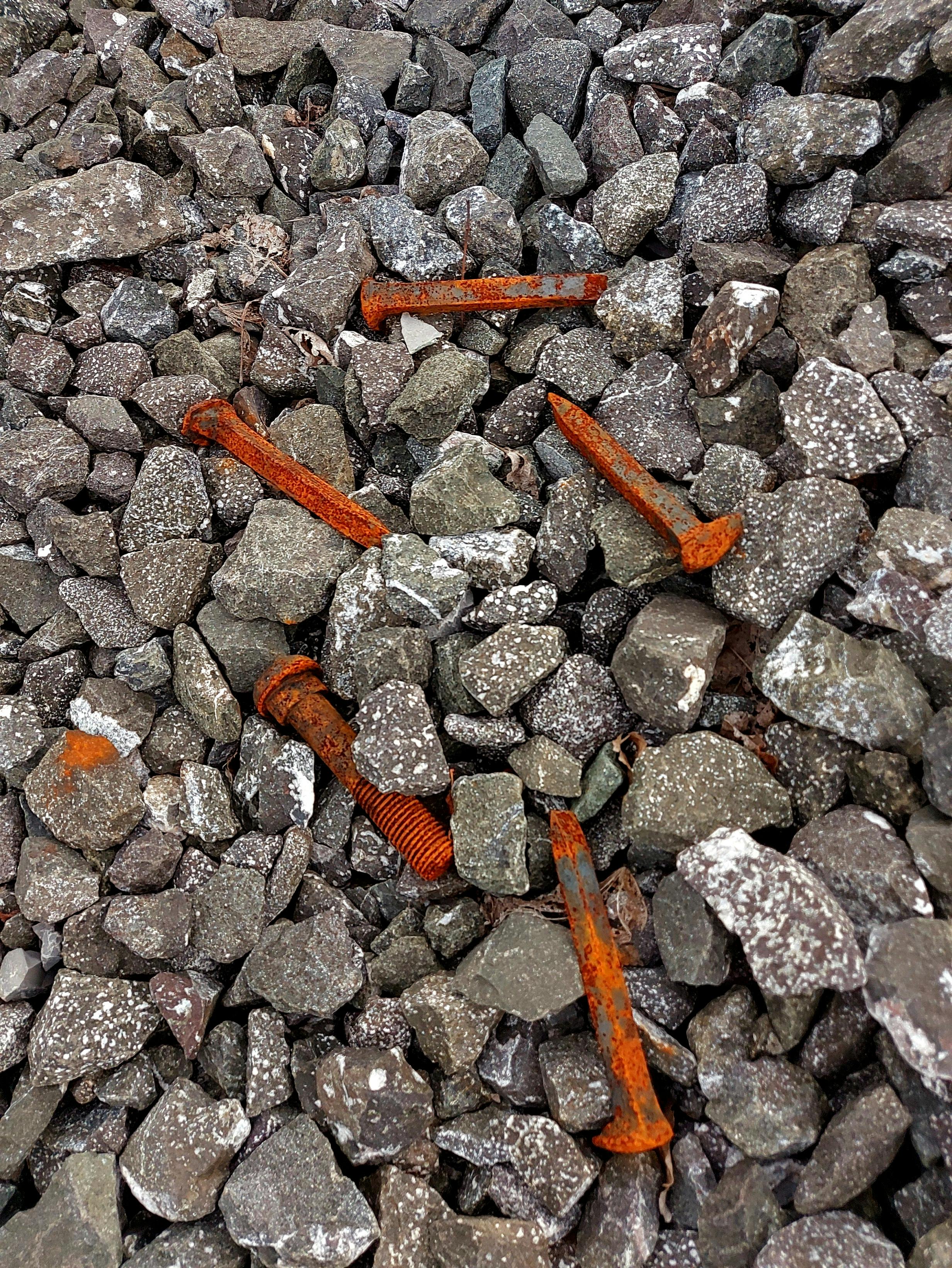 Alexandru Gutu - Photography