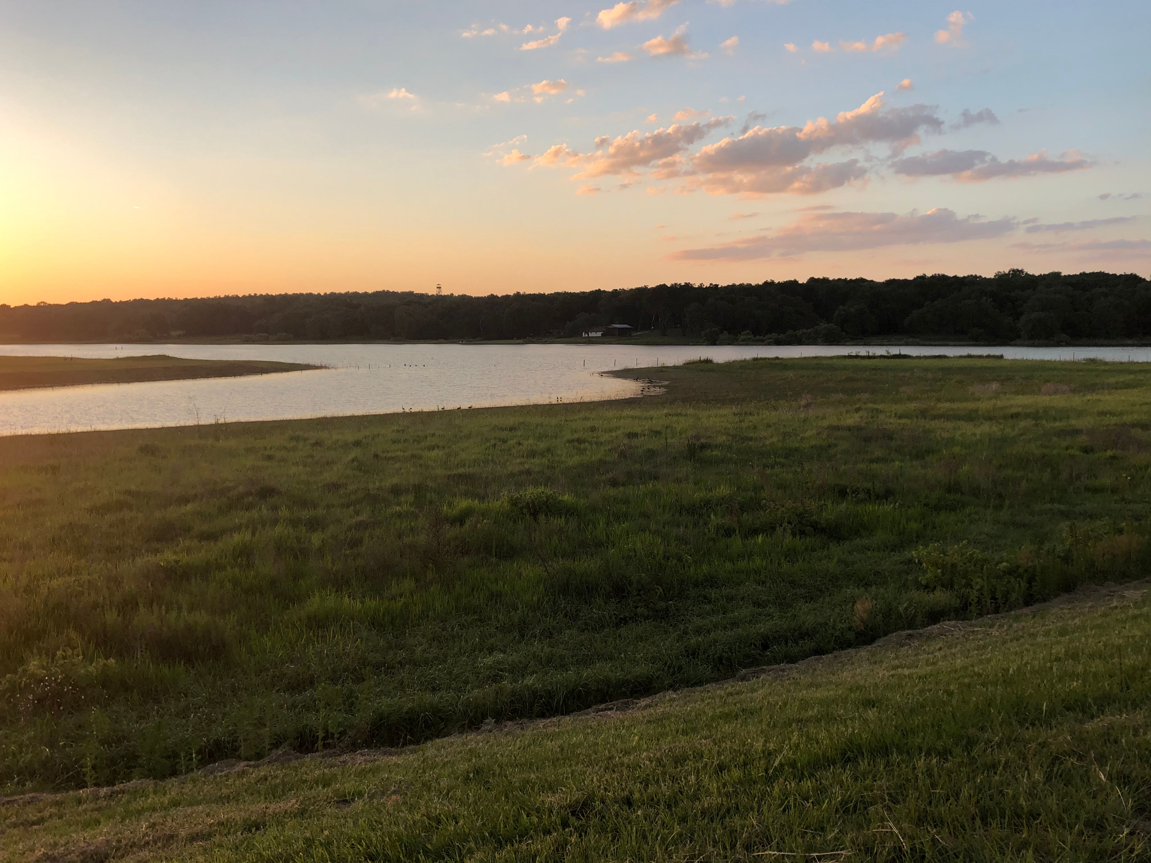 Green Grass Field Near Body of Water · Free Stock Photo