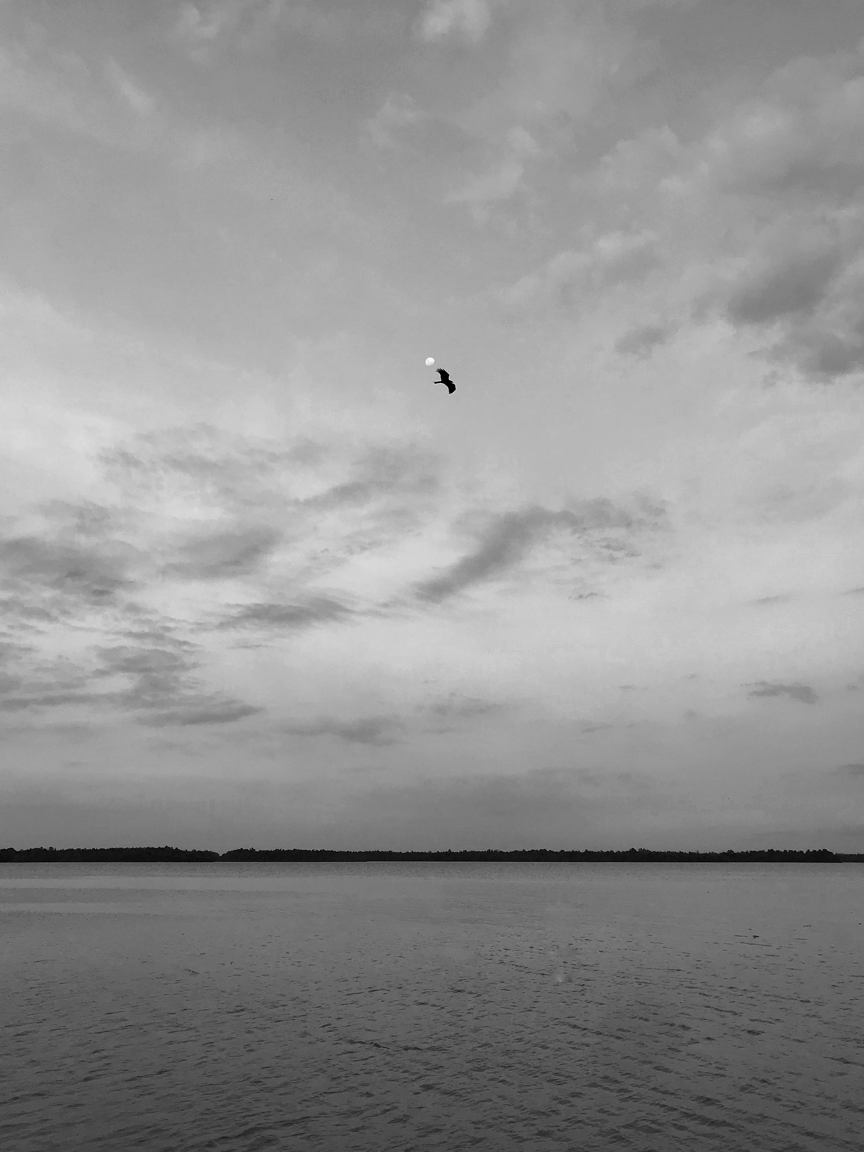 34+ Best Free Nightfall Stock Photos & Images · 100% Royalty-Free HD ...