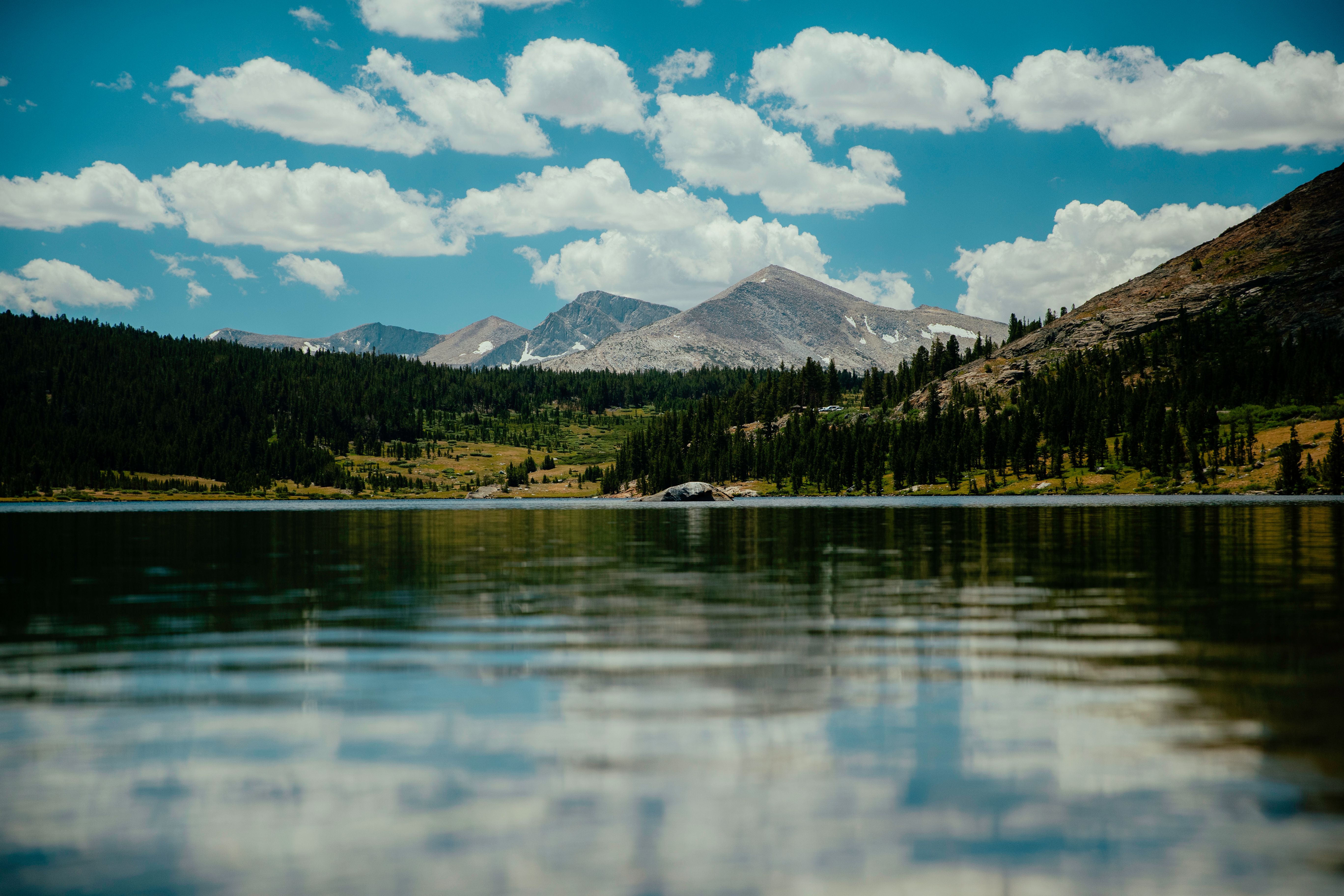 Landscape Photography of Lake and Tree · Free Stock Photo