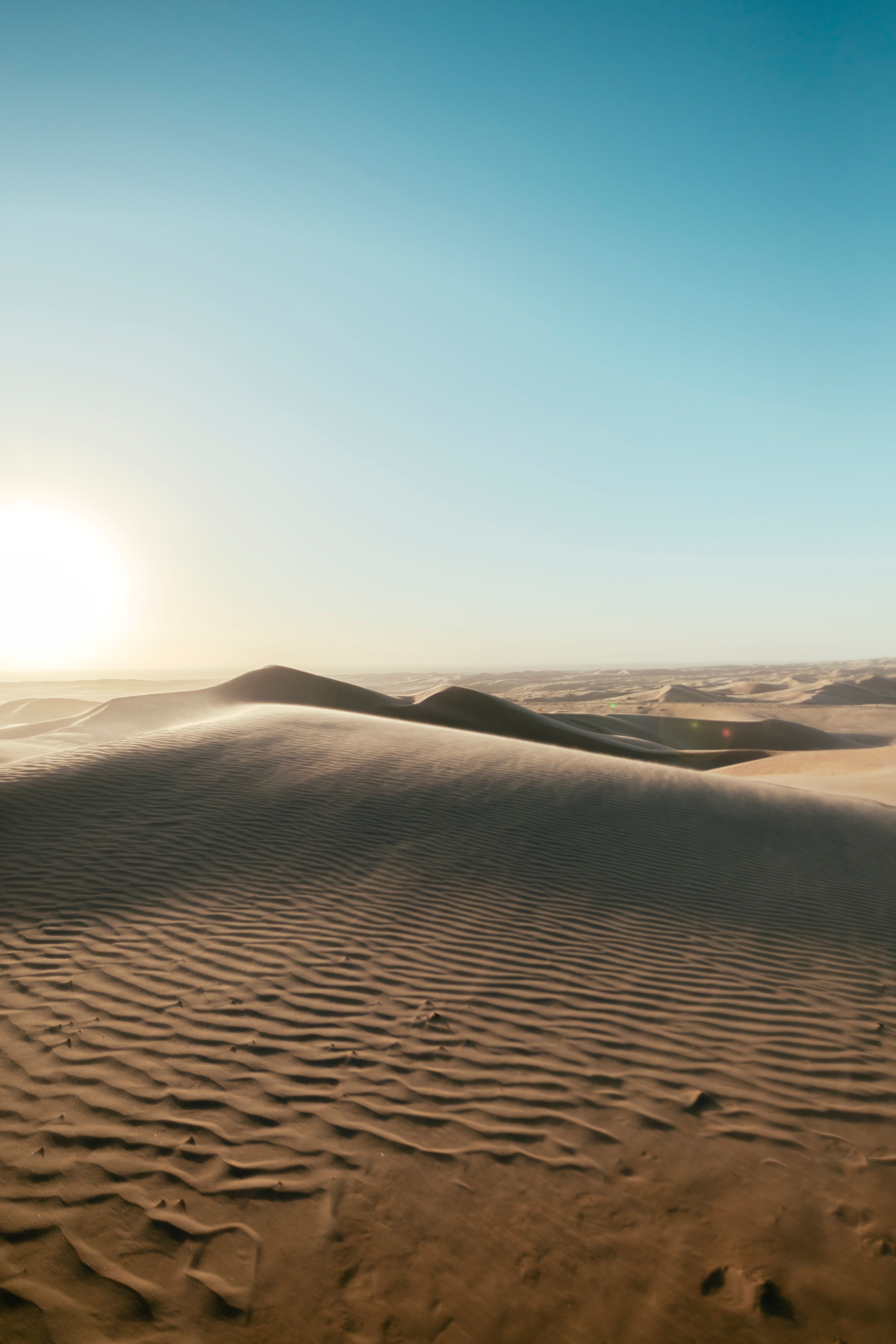Day Non Photos, Download The BEST Free Day Non Stock Photos & HD Images