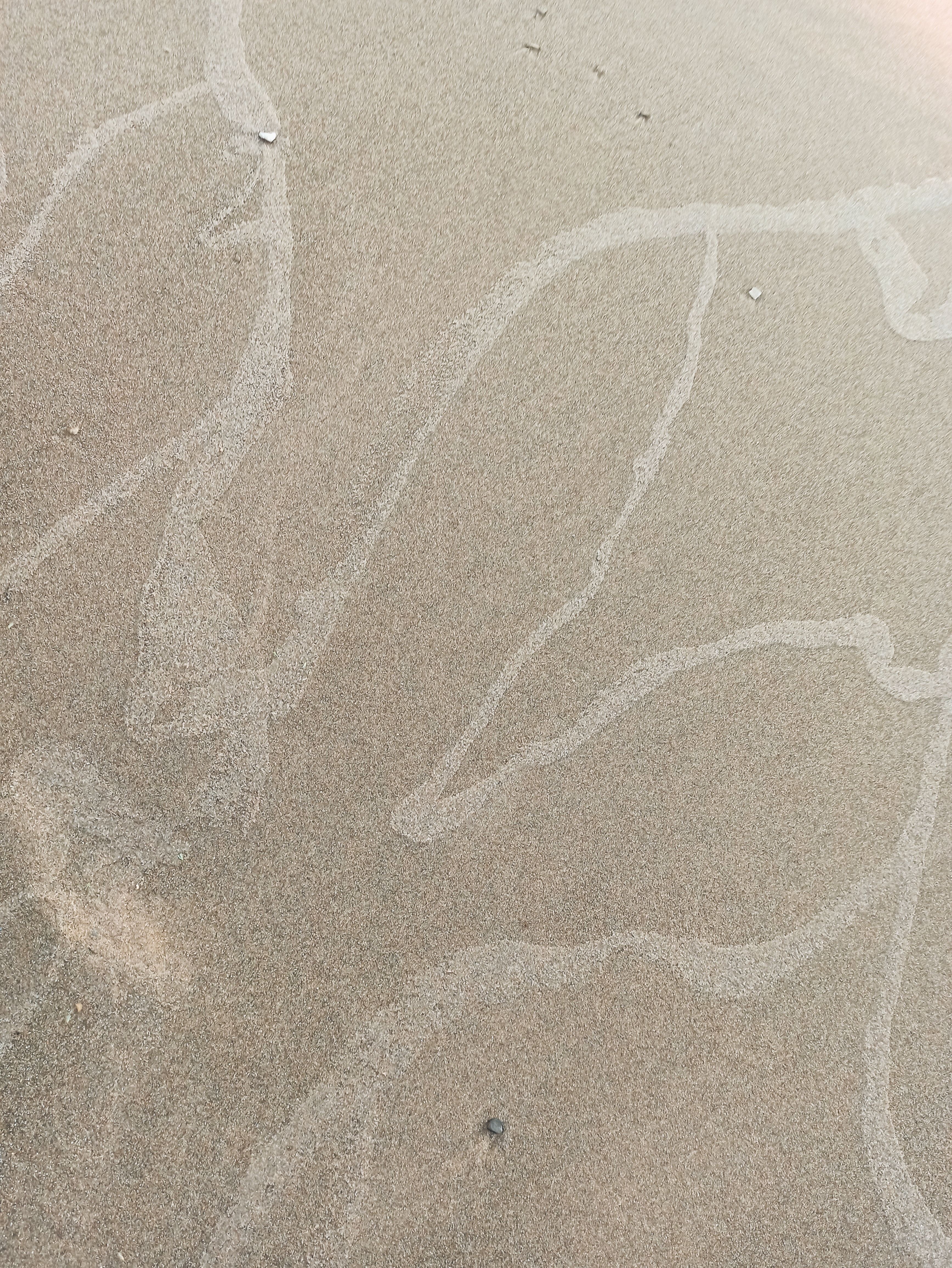 Ripples in Wet Sand · Free Stock Photo