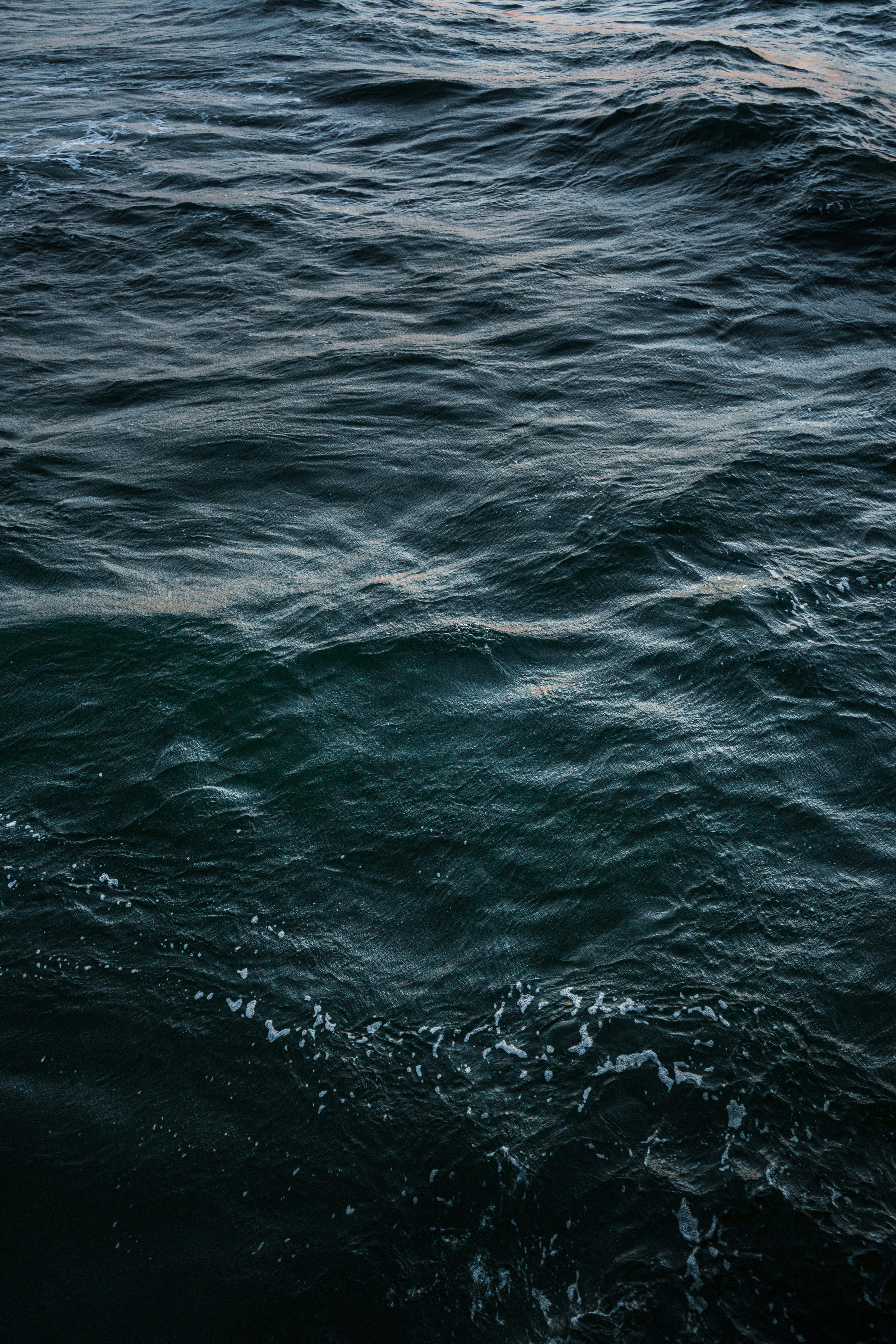 Calm Water on the Sea · Free Stock Photo