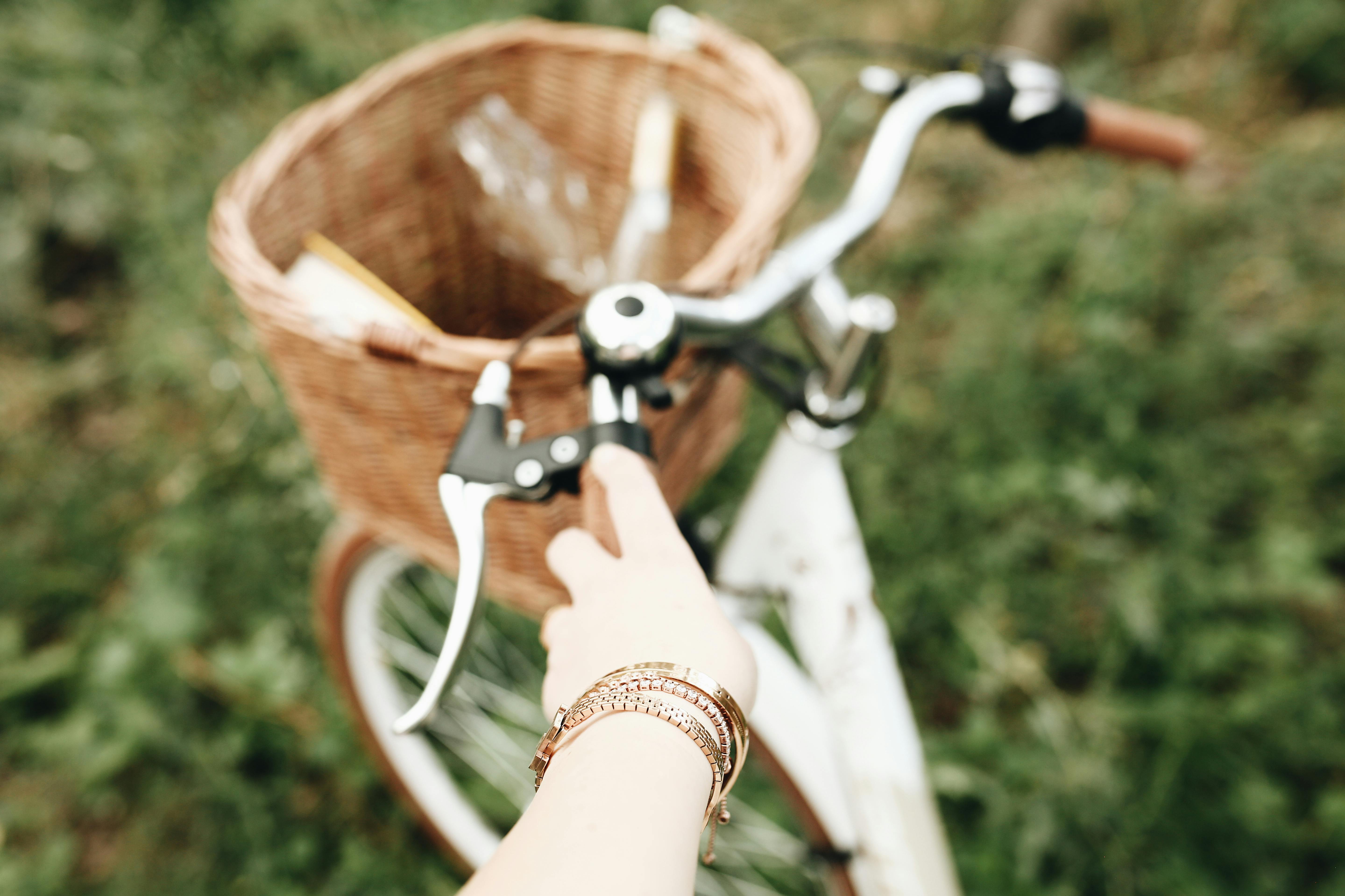 A Person Holding a Basket · Free Stock Photo