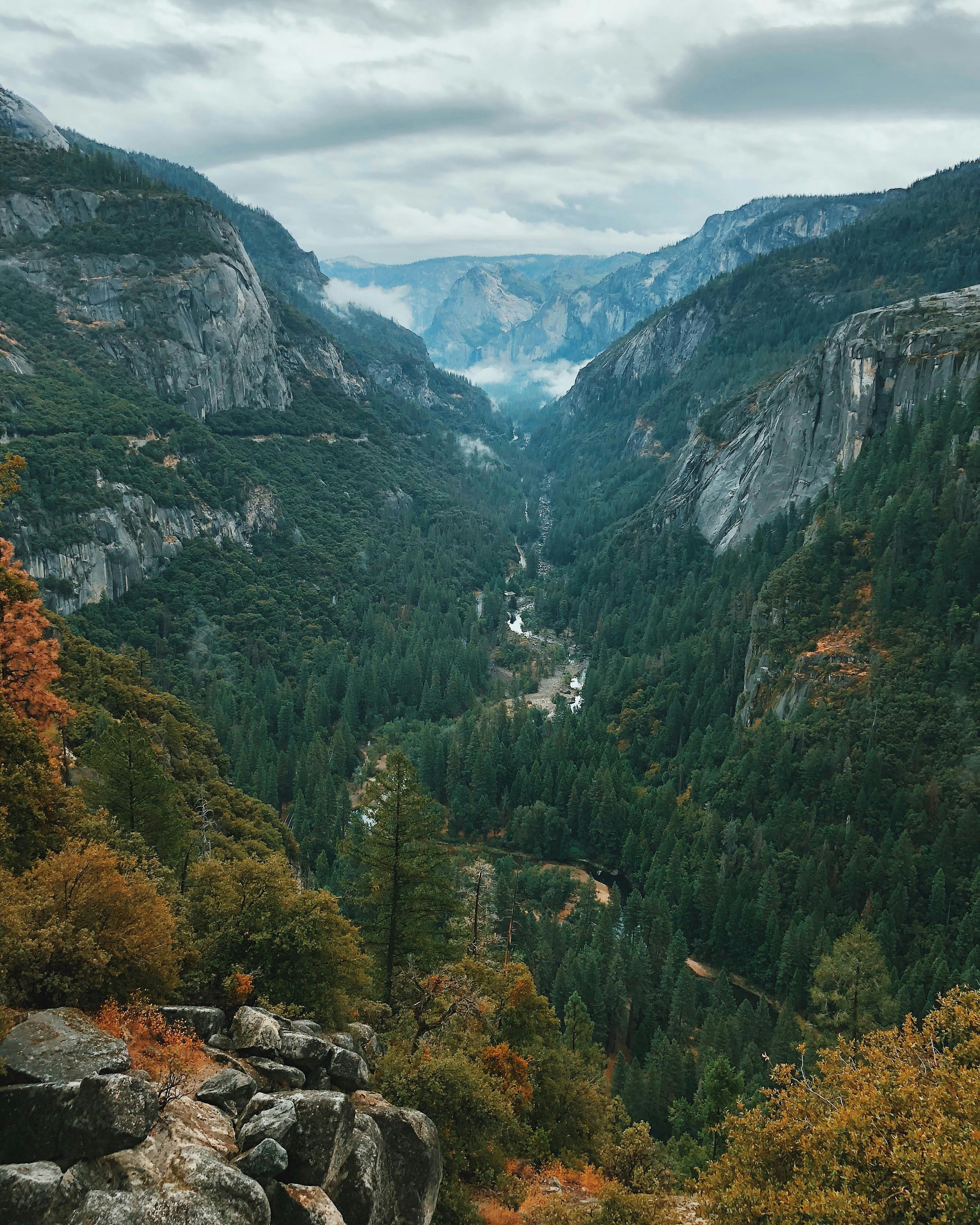 Trees in Valley · Free Stock Photo