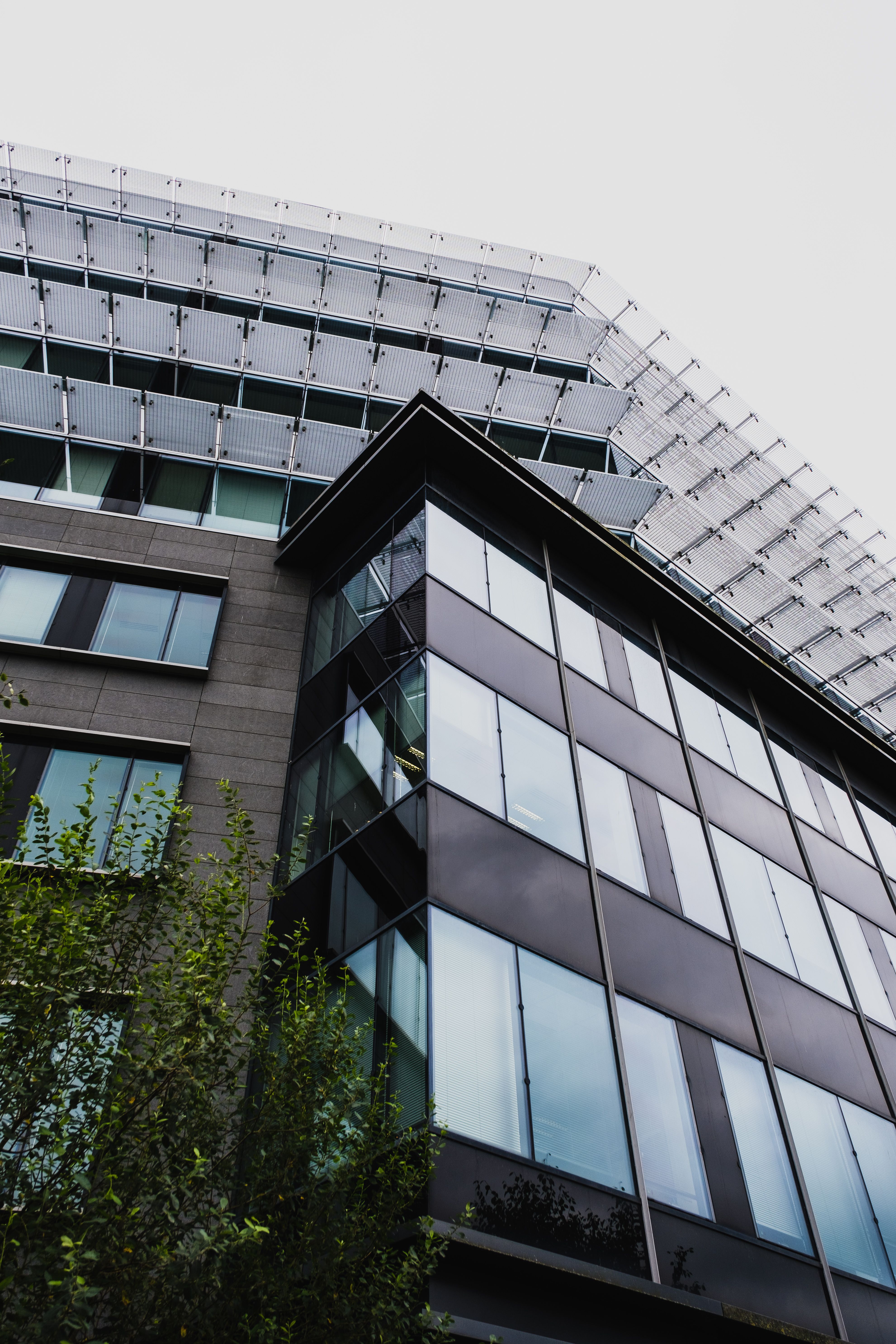 Low Angle Shot of Black Glass Building · Free Stock Photo