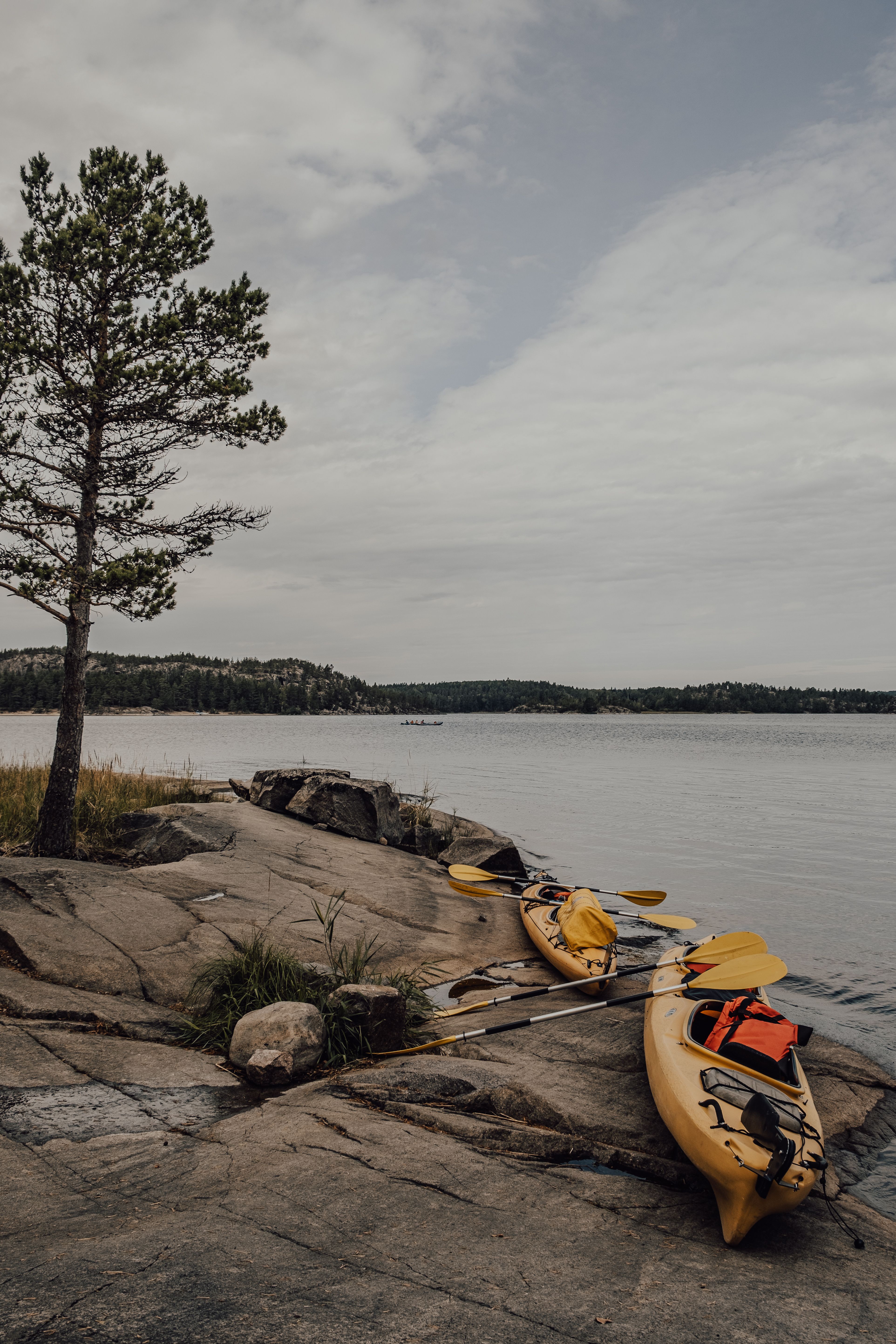 Spiky Rock at Sea · Free Stock Photo