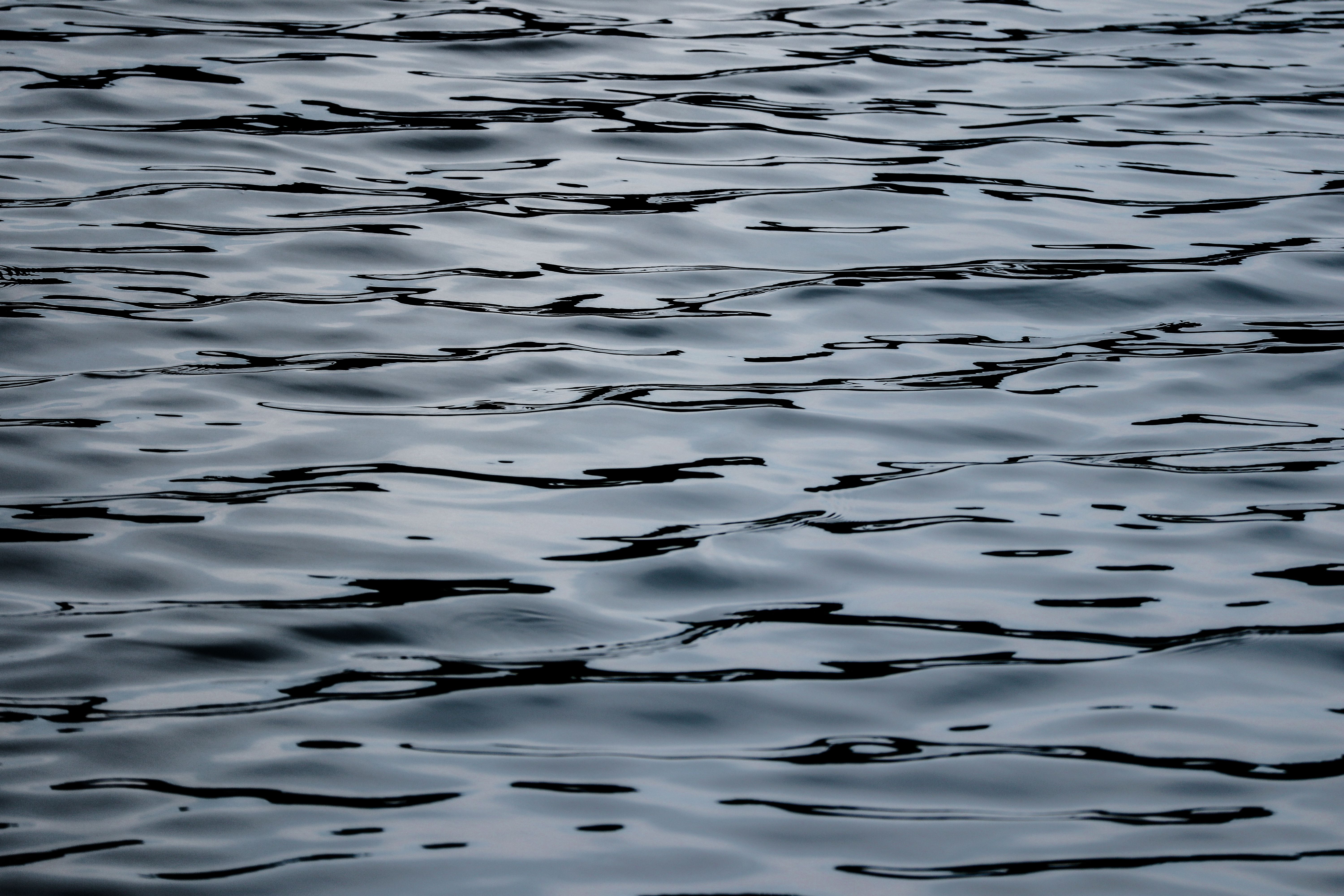 Photo of a Calm Body of Water · Free Stock Photo